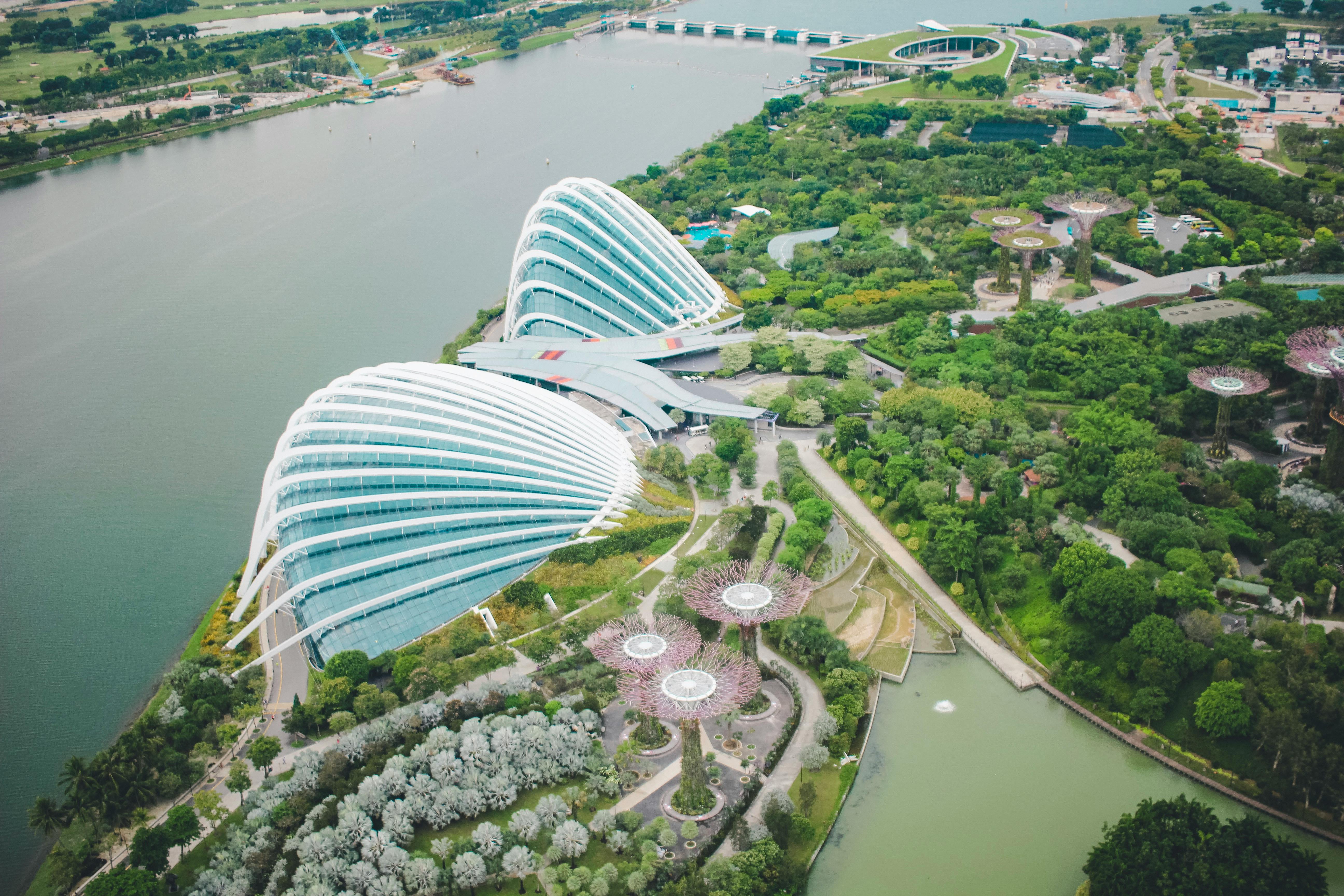 Matthew Simmonds - Photography