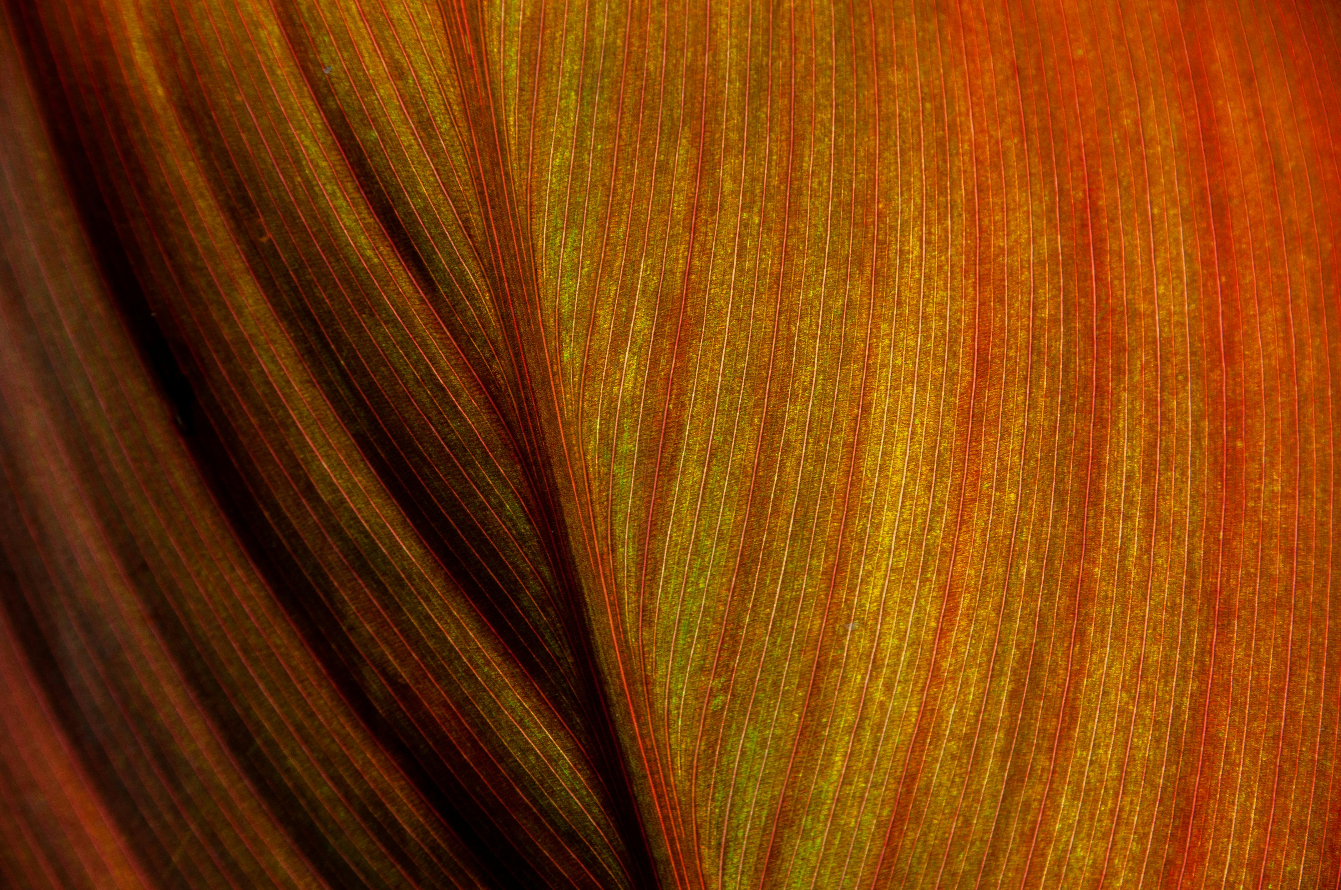 Image libre de droit, banque d’image gratuite et photos gratuites