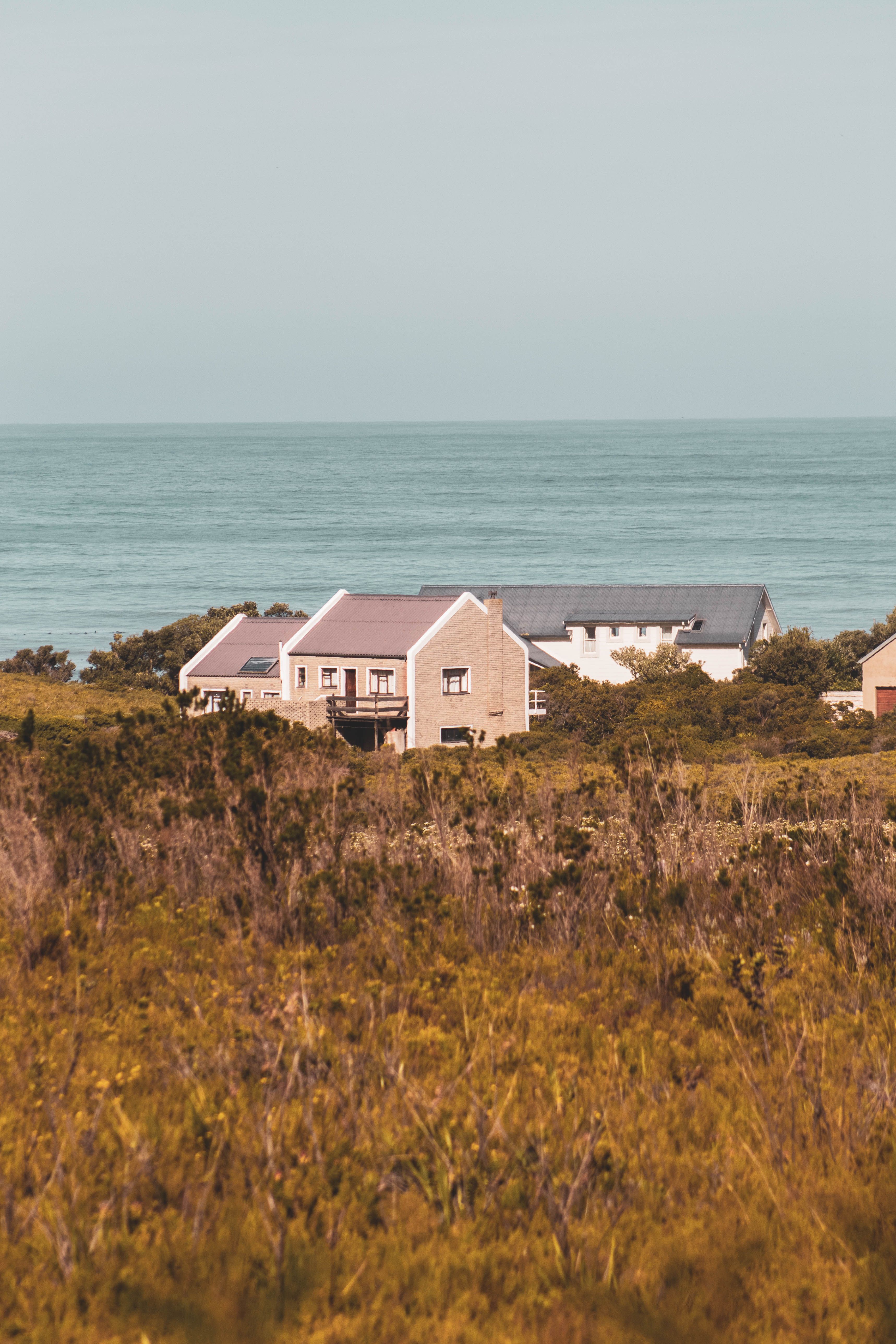 Photo of Houses Near Sea · Free Stock Photo