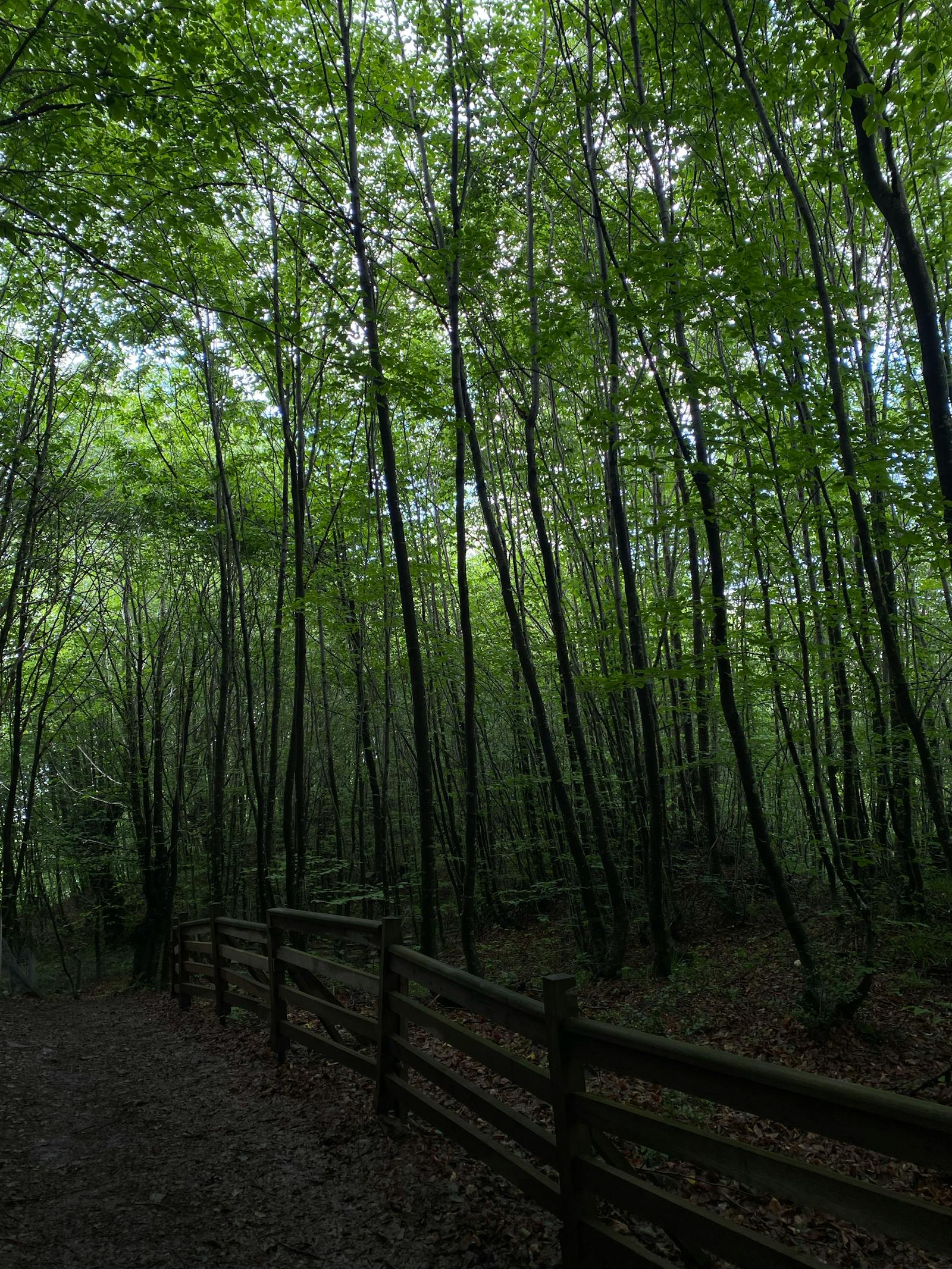 Wooden Fence Photos, Download The BEST Free Wooden Fence Stock Photos ...