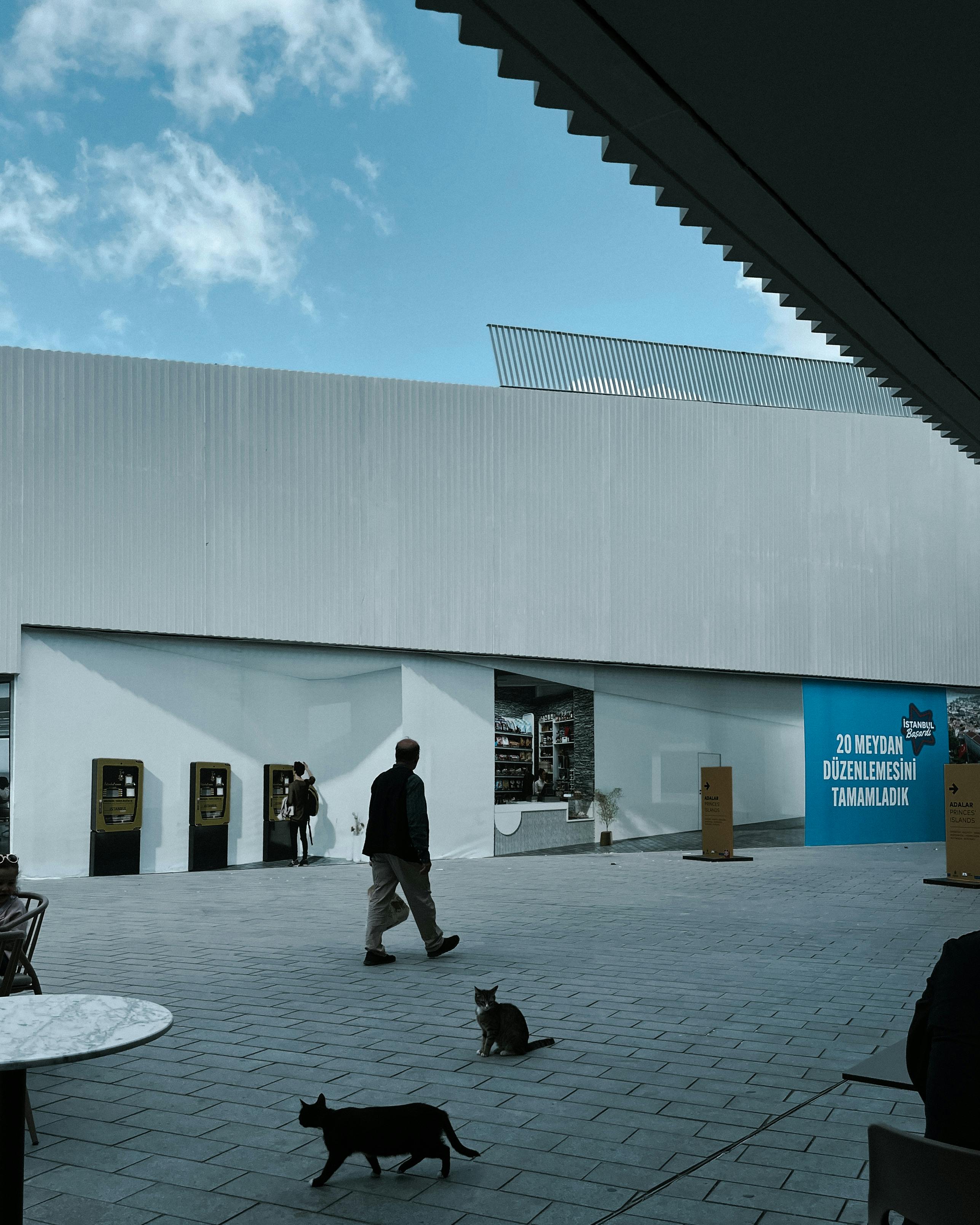 Cats Square Photos, Download The BEST Free Cats Square Stock Photos ...