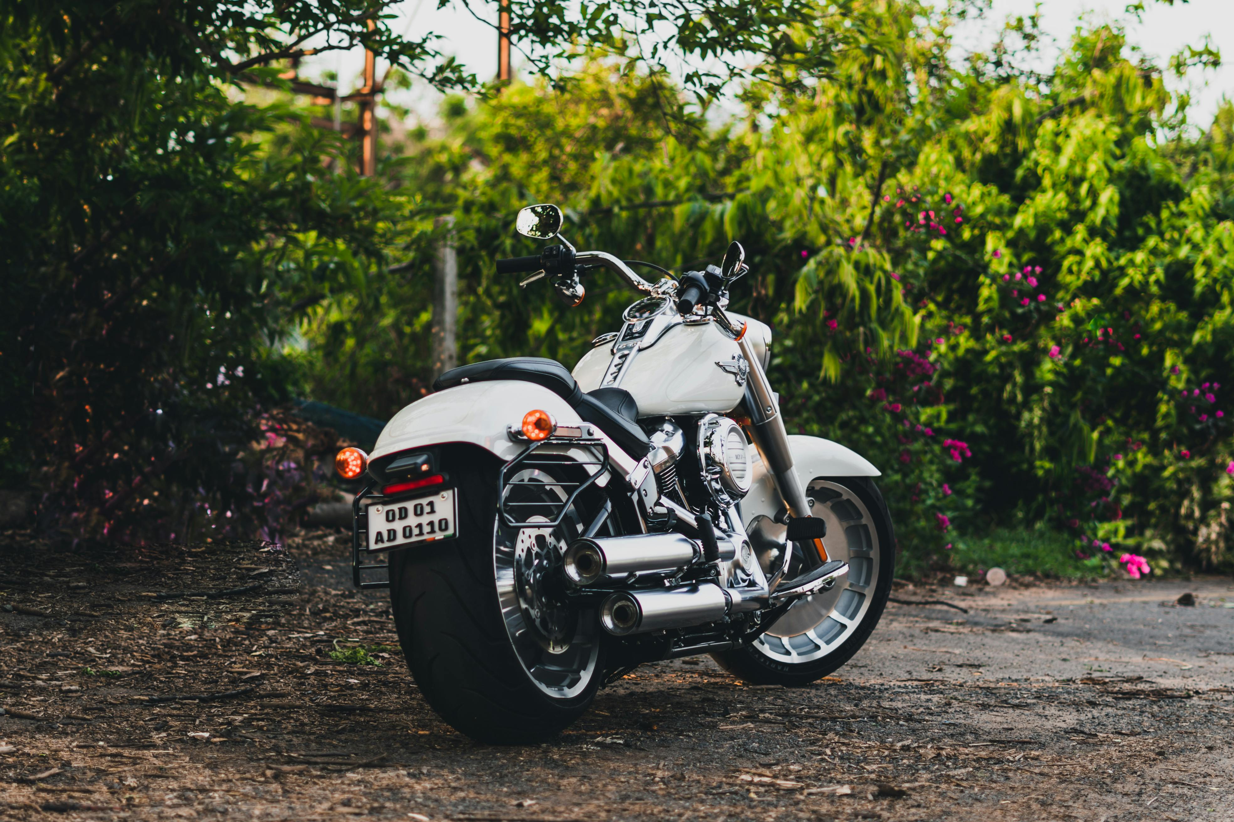 100+ Best Harley Davidson Photos · 100% Free Download · Pexels Stock Photos