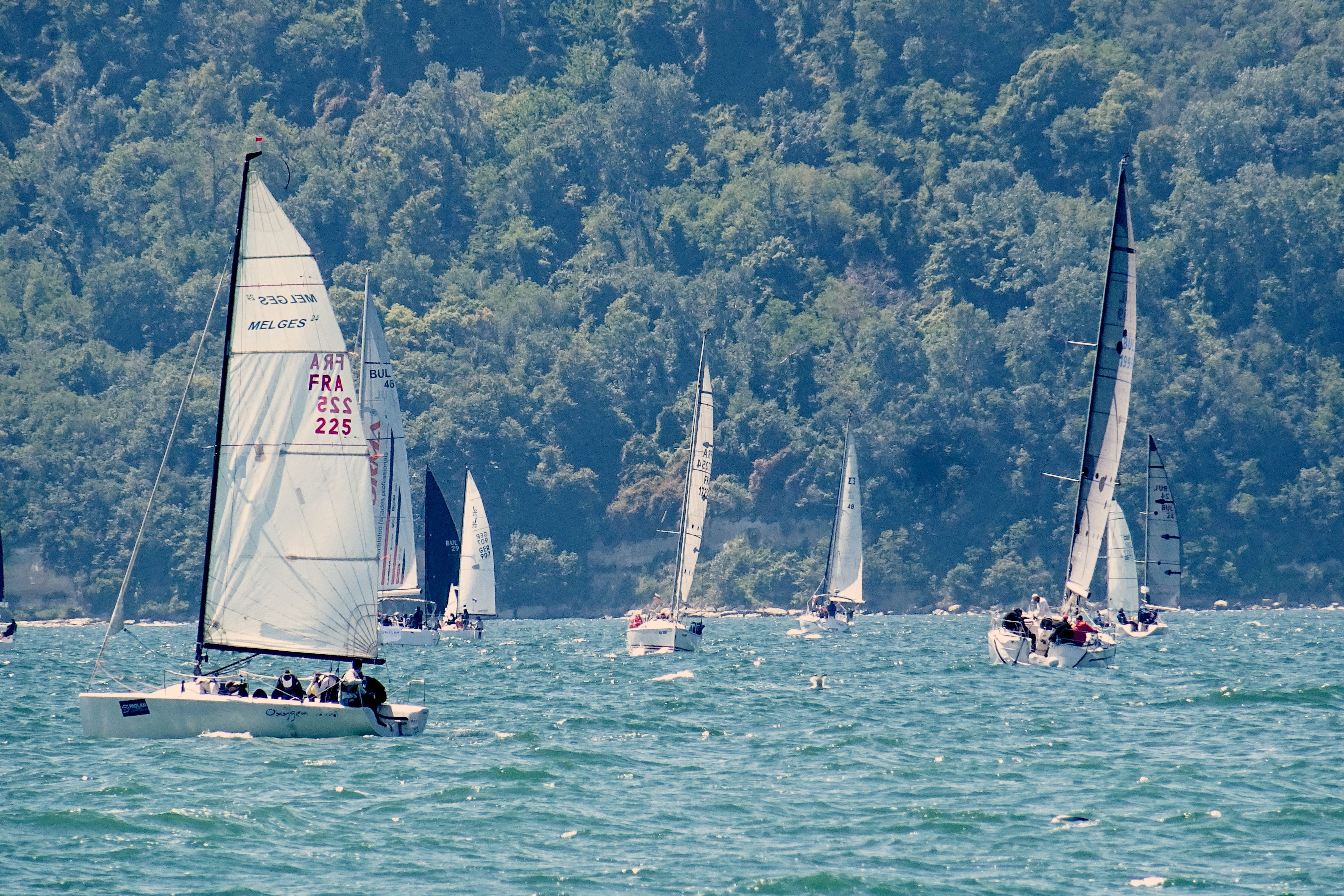 Sailboats on Water · Free Stock Photo