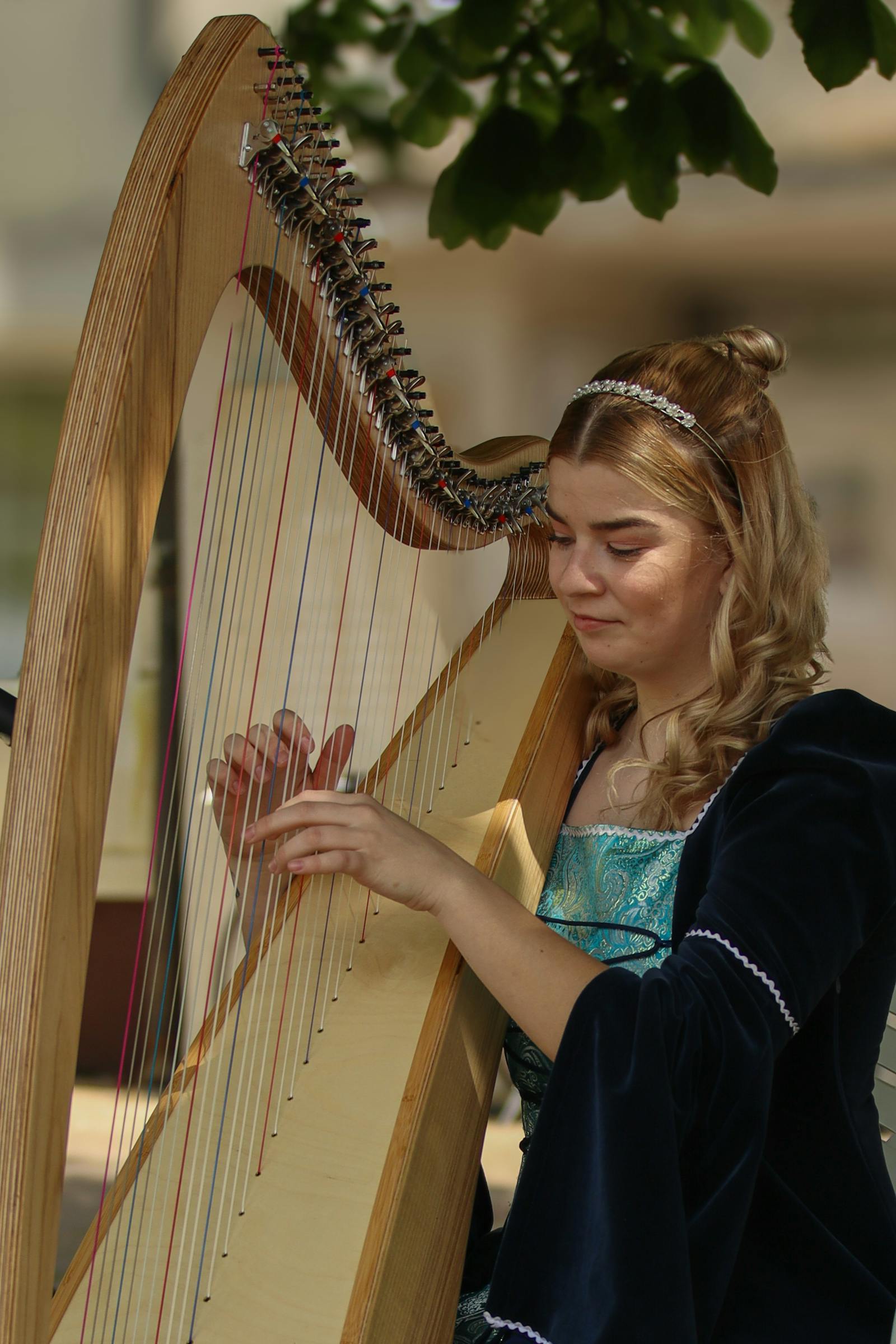 Harp Photos, Download The BEST Free Harp Stock Photos & HD Images