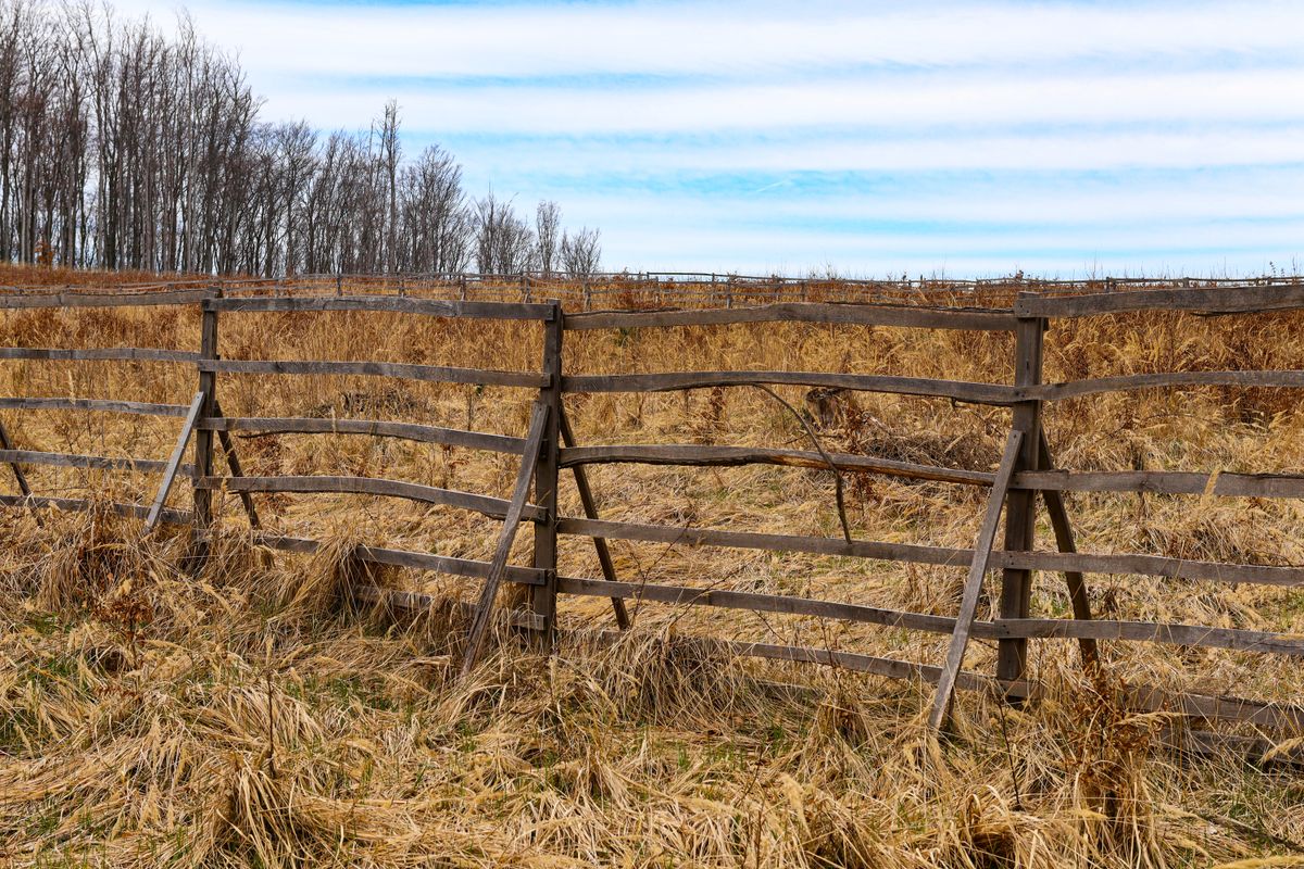 Wooden Fence Photos, Download The BEST Free Wooden Fence Stock Photos ...