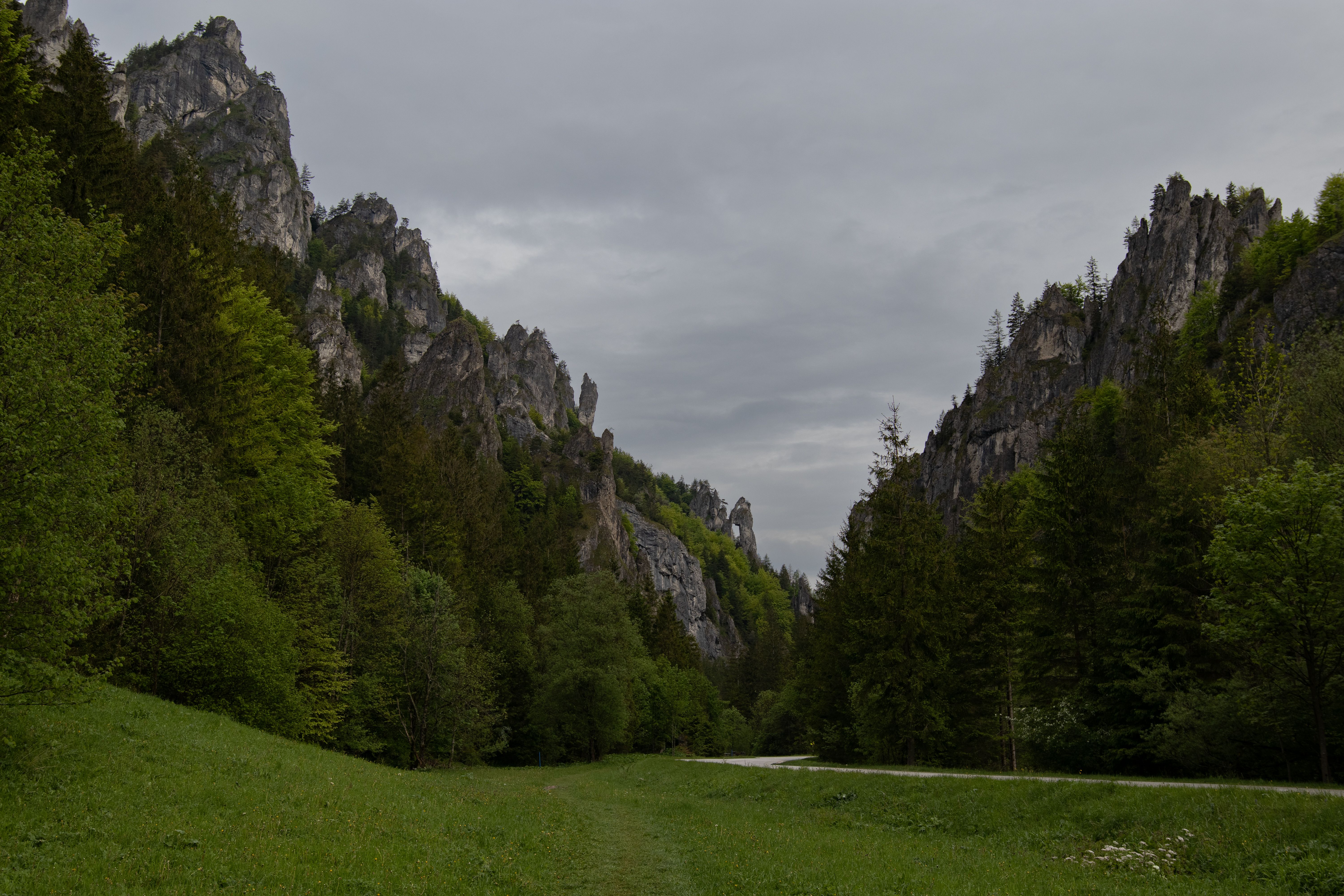 Road Between Trees and Cliffs in Valley · Free Stock Photo