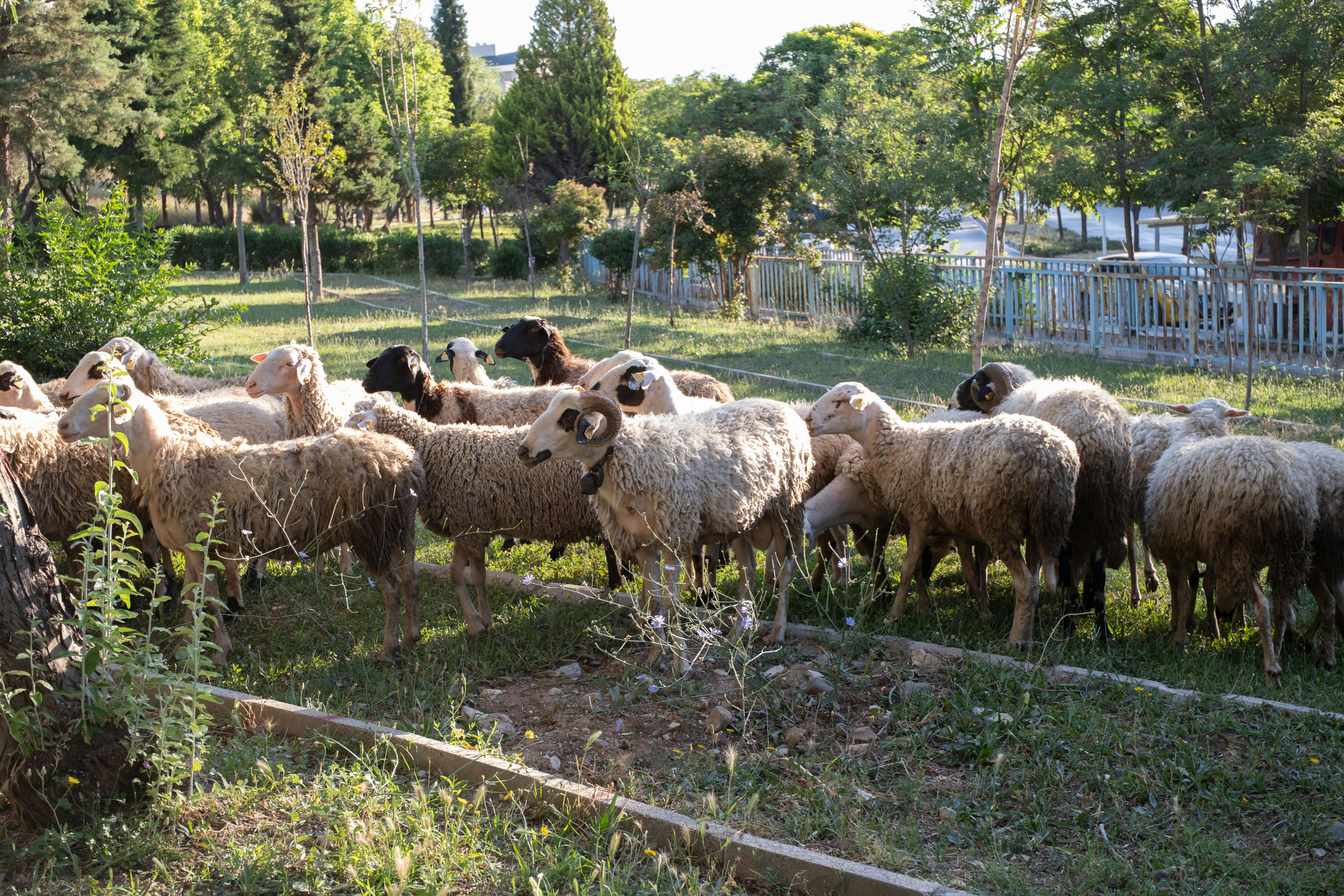 Mean Manager Photos, Download The BEST Free Mean Manager Stock Photos ...