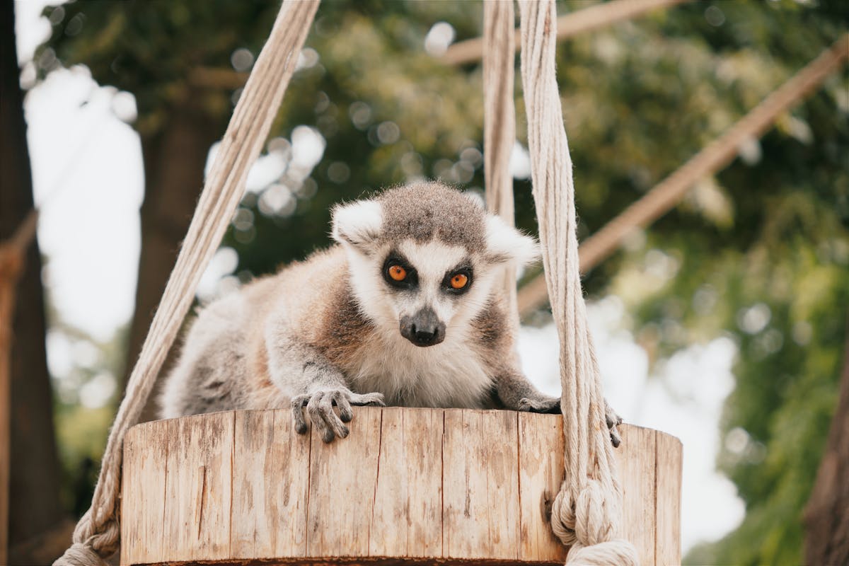 80.000+ Foto Wallpaper Rohani Terbaik · Unduh Gratis 100% · Foto Stok ...