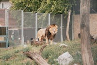 Free Stock Photos, Royalty Free Stock Images & Copyright Free Pictures ...