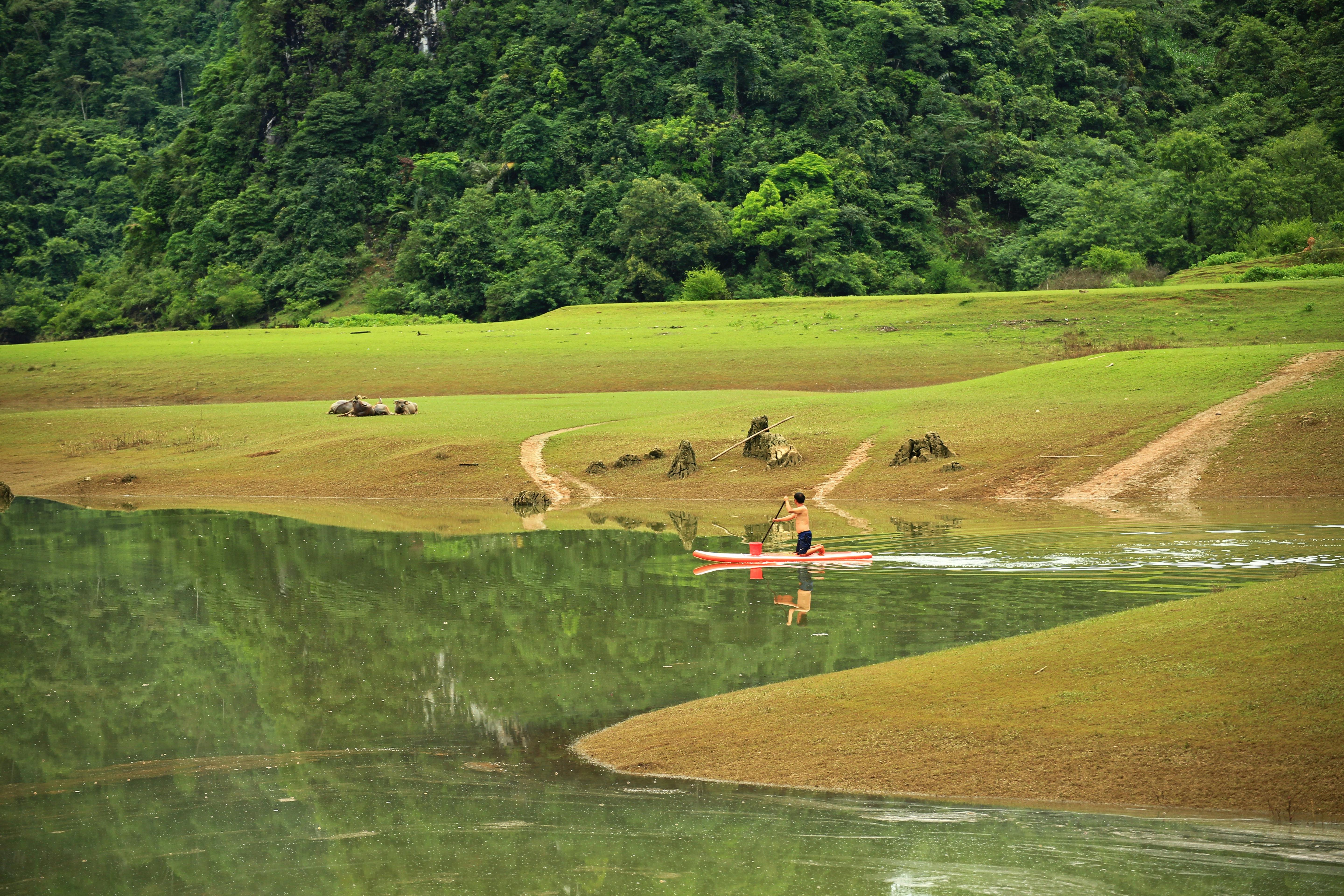 Man on Kayak in a Stream · Free Stock Photo