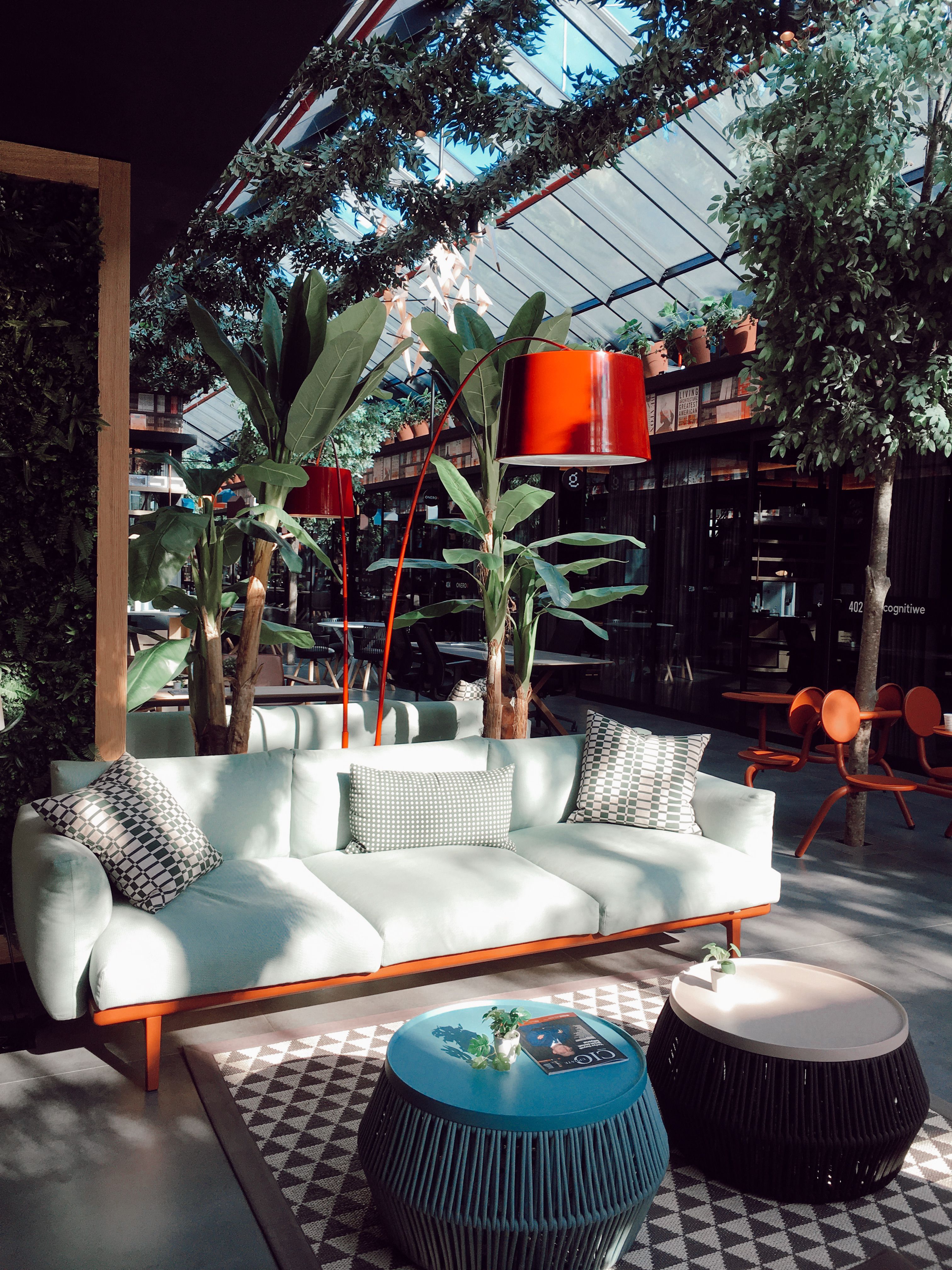 Interior Design of Cafe with Couch and Trees · Free Stock Photo