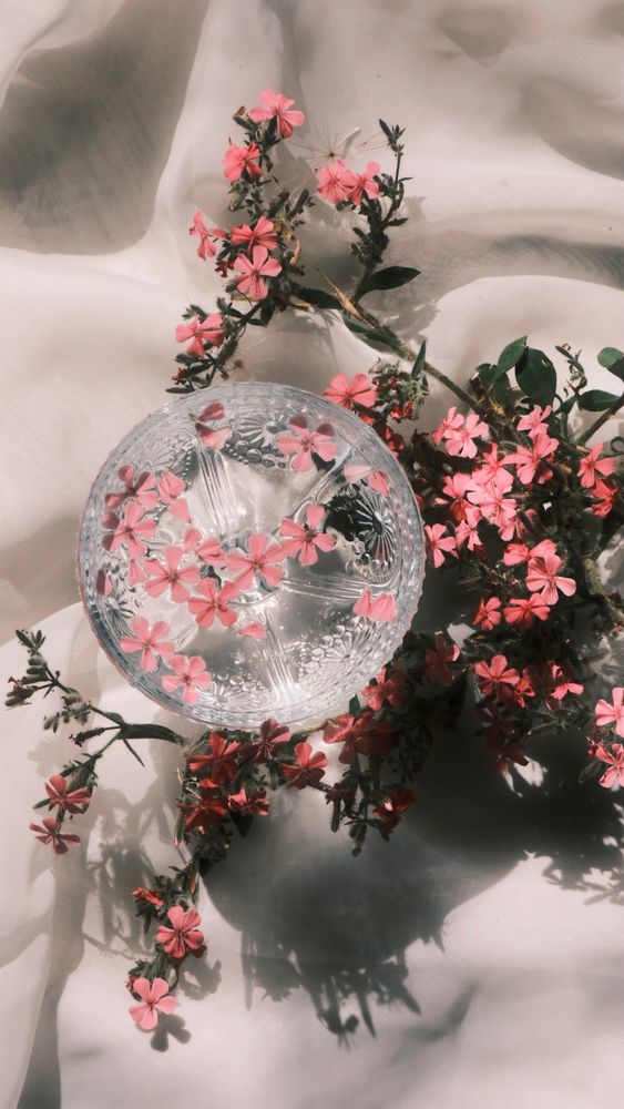 Whimsical Aesthetic Photos, Download The BEST Free Whimsical Aesthetic ...