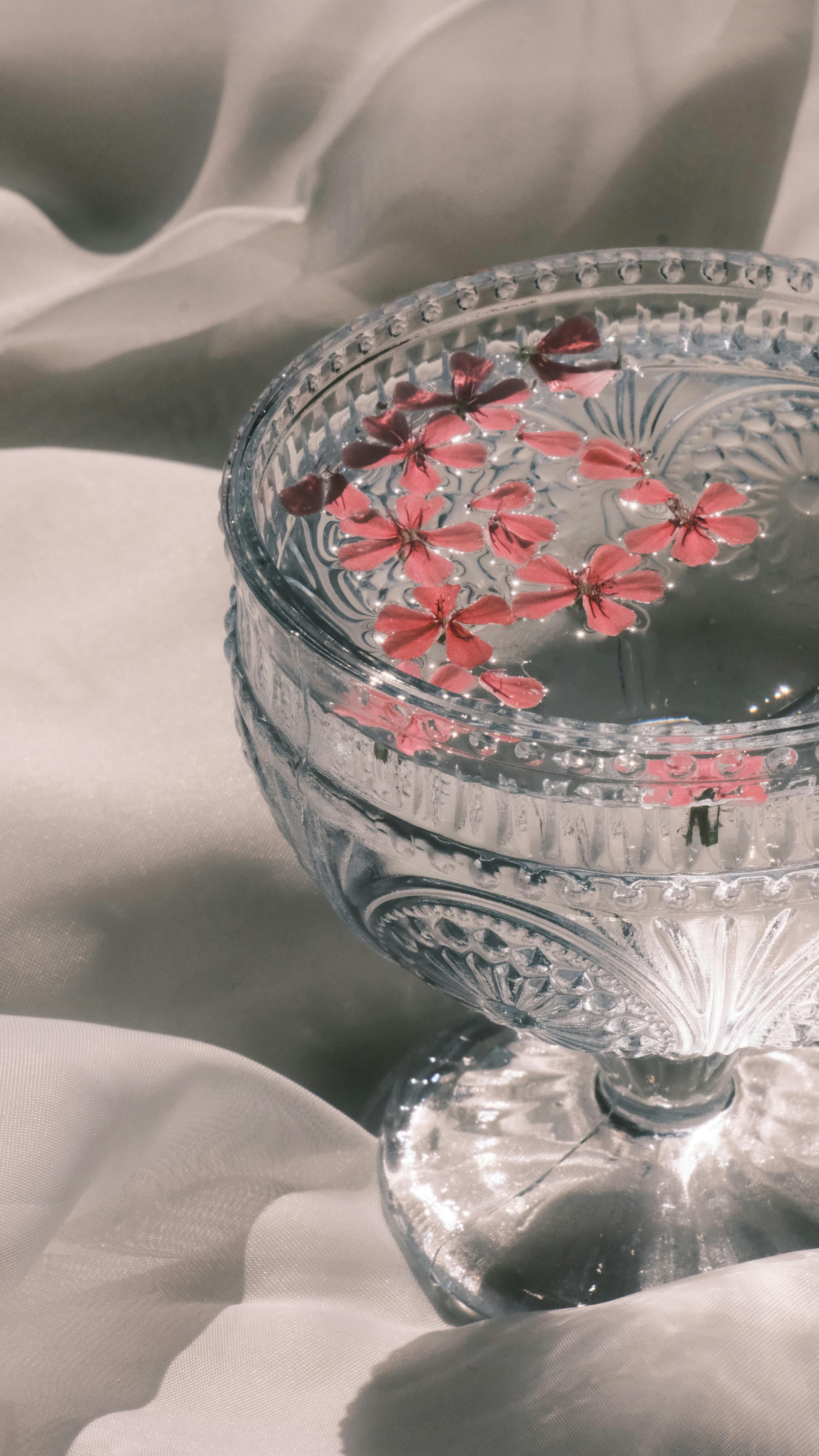 Glass Cup Photos, Download The BEST Free Glass Cup Stock Photos & HD Images