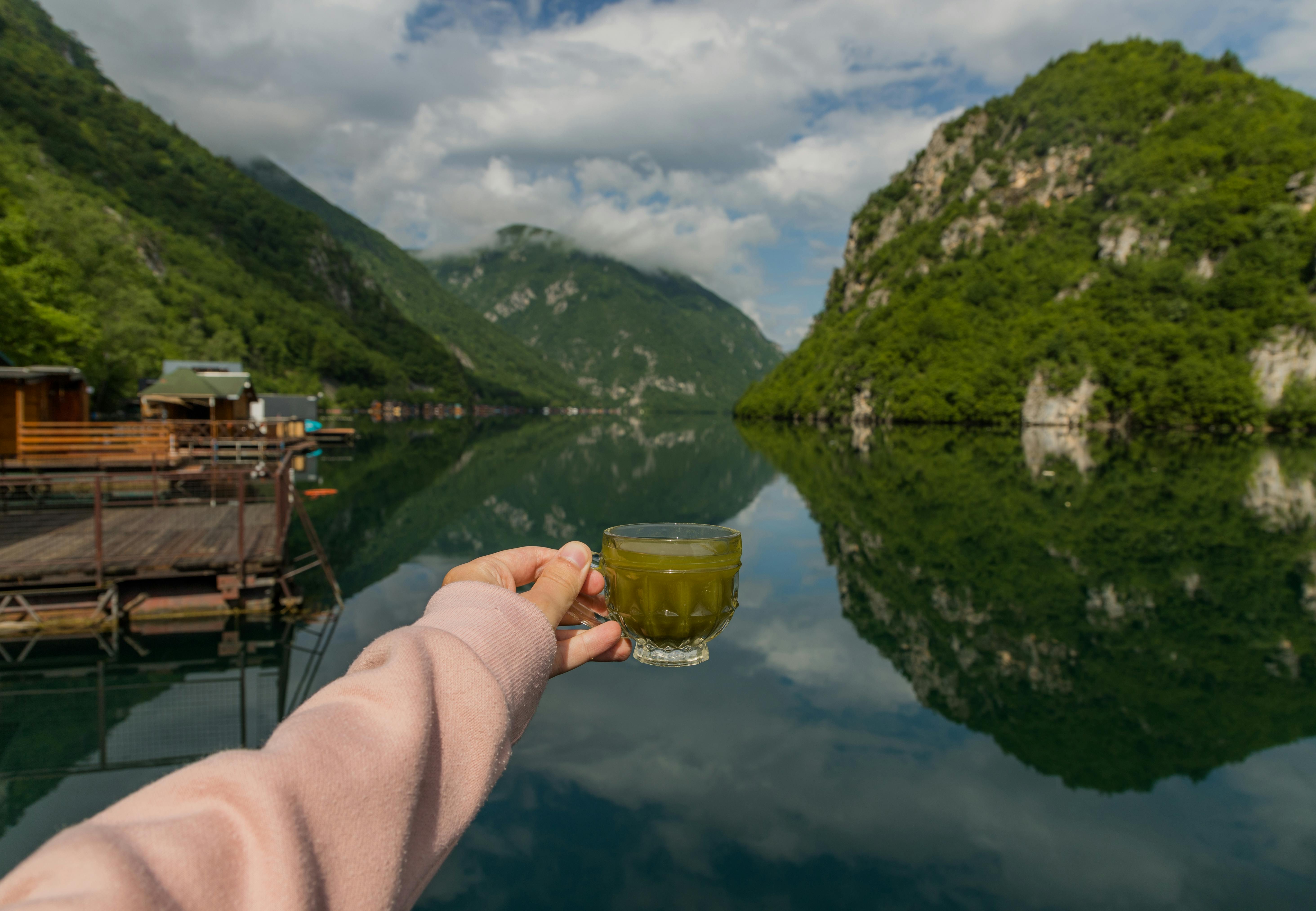 Drinking matcha tea with a gorgeous lake view · Free Stock Photo