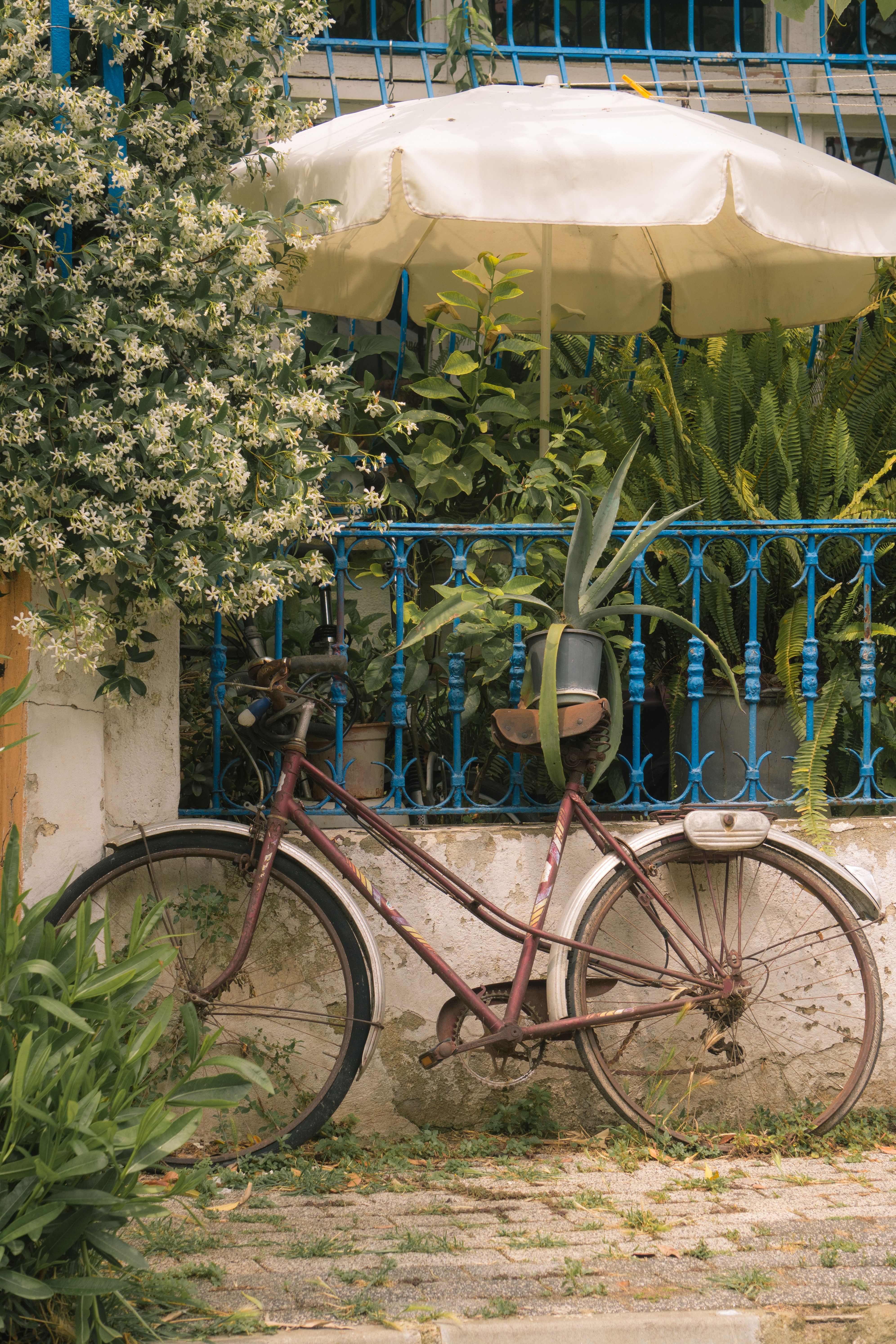 Rusting Bike Photos, Download The BEST Free Rusting Bike Stock Photos ...