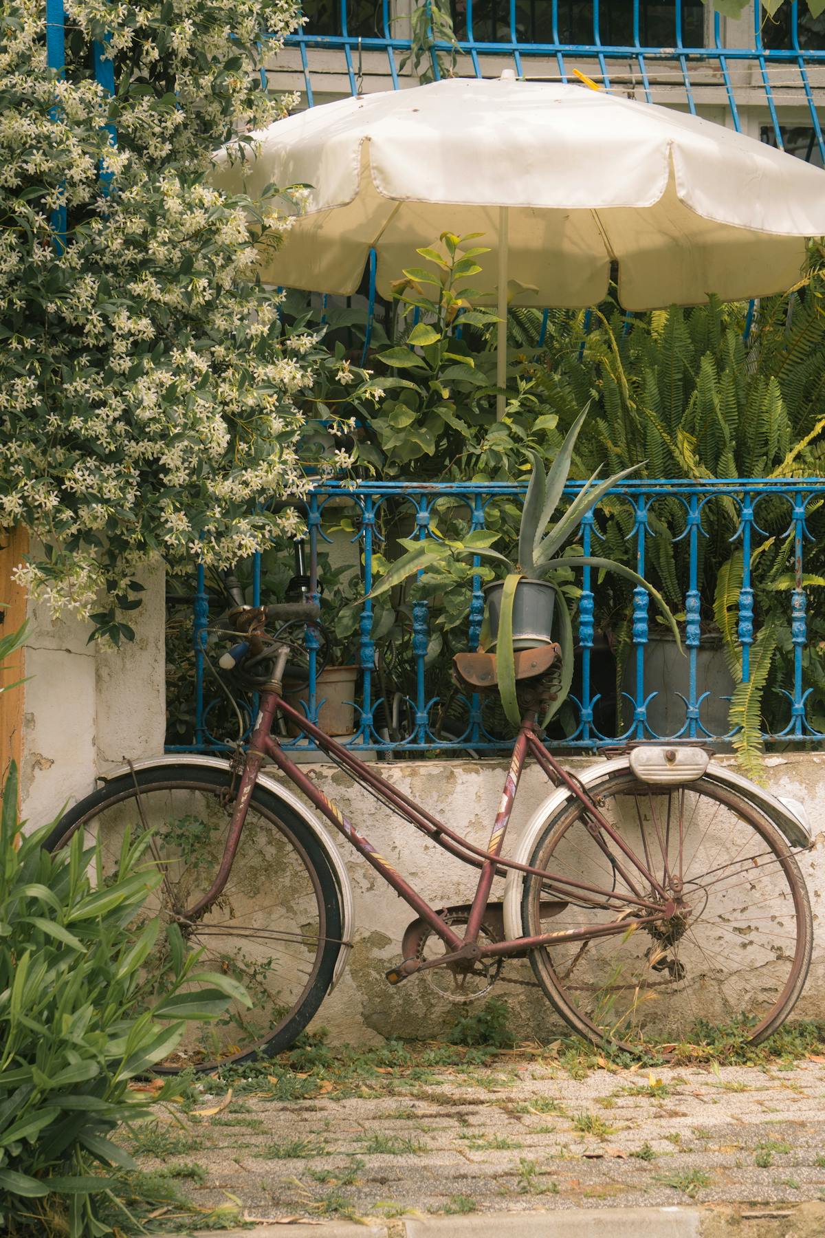 Rusting Bike Photos, Download The BEST Free Rusting Bike Stock Photos ...
