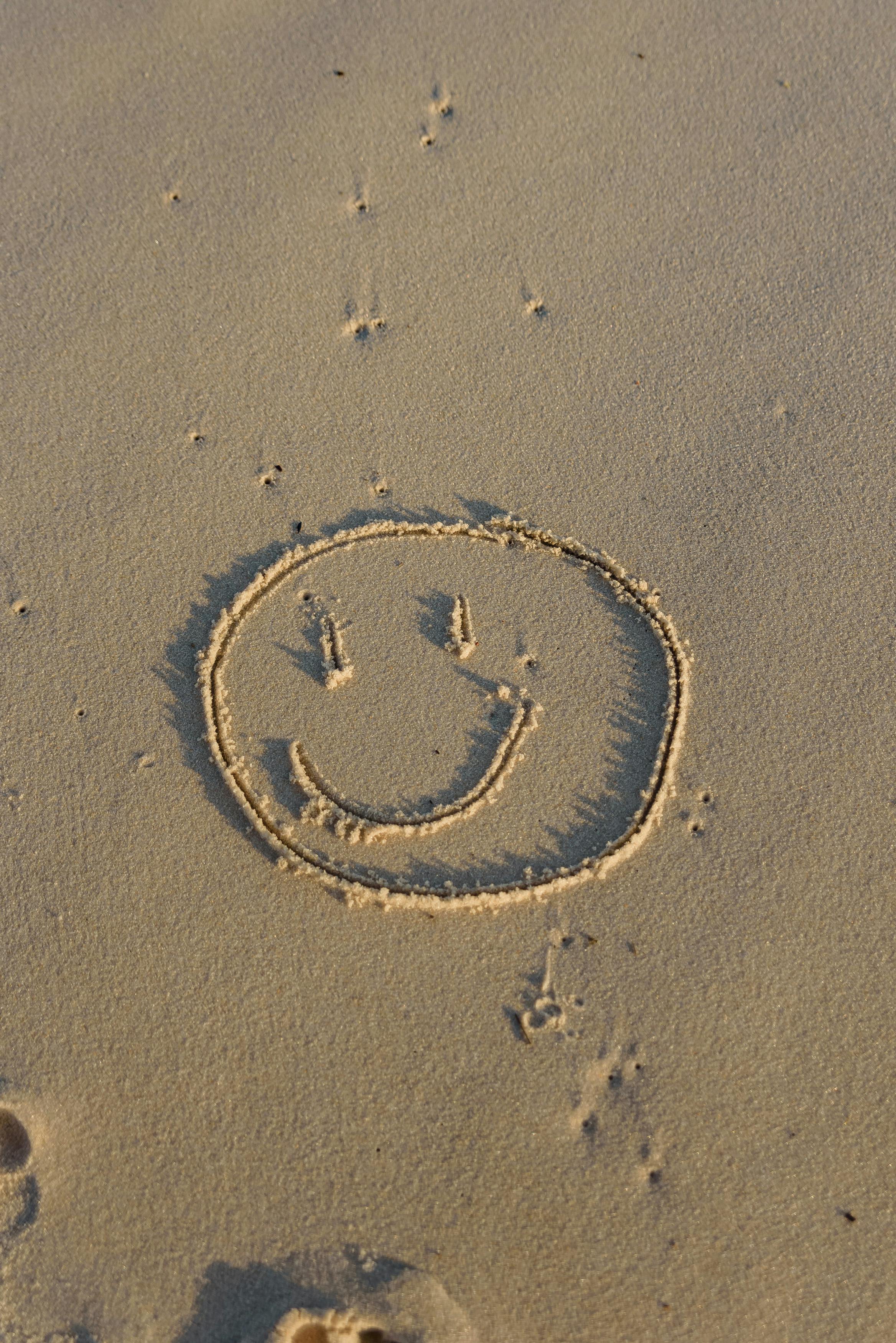 Land Drawing Photos, Download The BEST Free Land Drawing Stock Photos ...