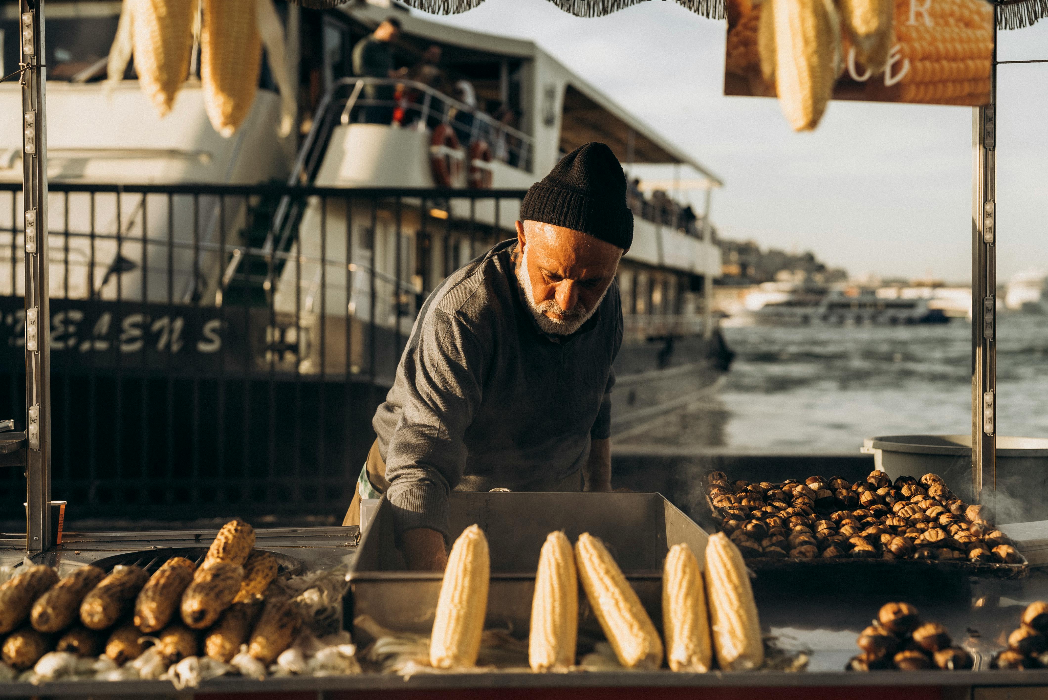 Sea Chestnut Photos, Download The BEST Free Sea Chestnut Stock Photos ...