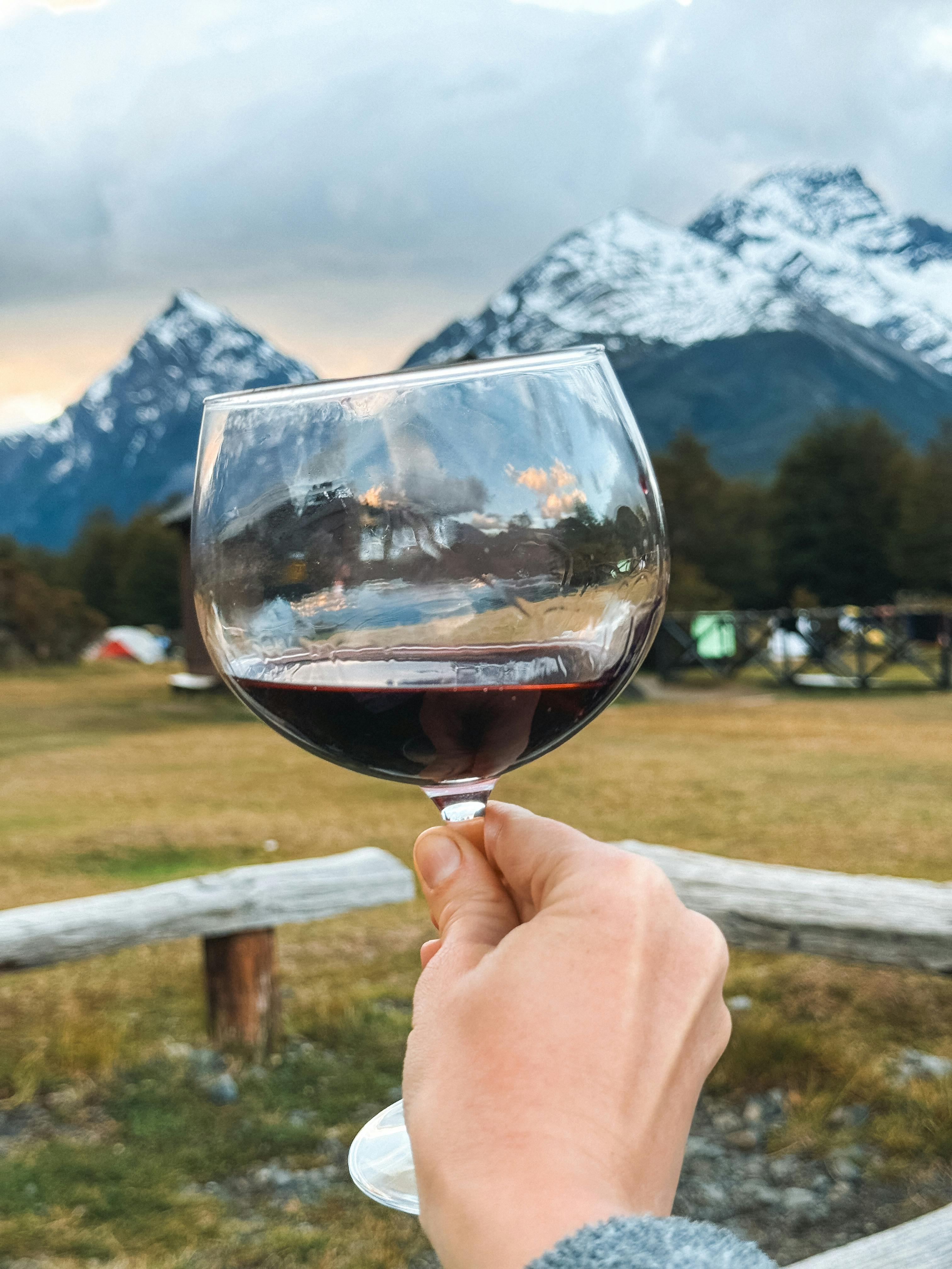 Person Holding Wine Glass in Mountains · Free Stock Photo
