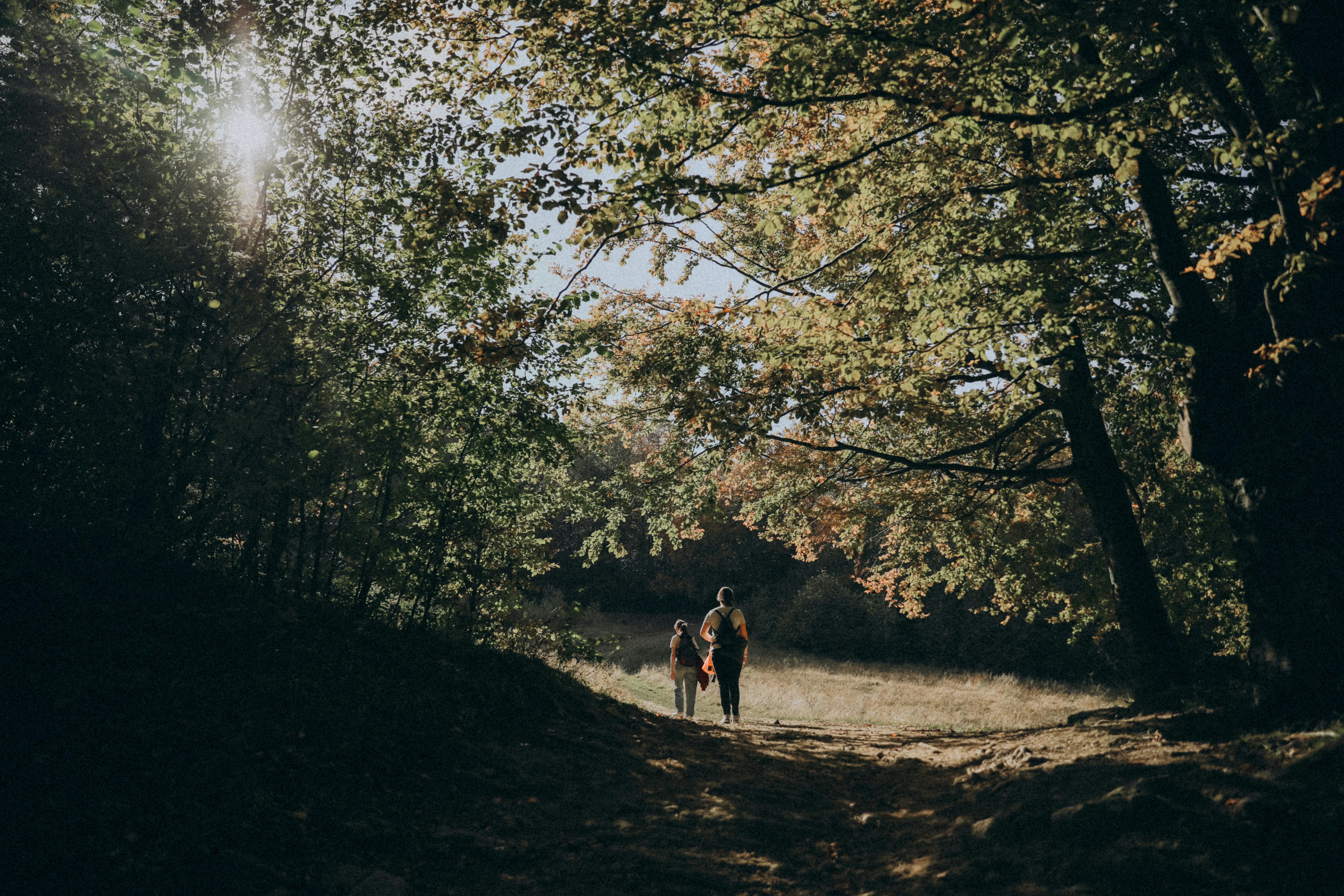 Human Nature Photos, Download The BEST Free Human Nature Stock Photos ...