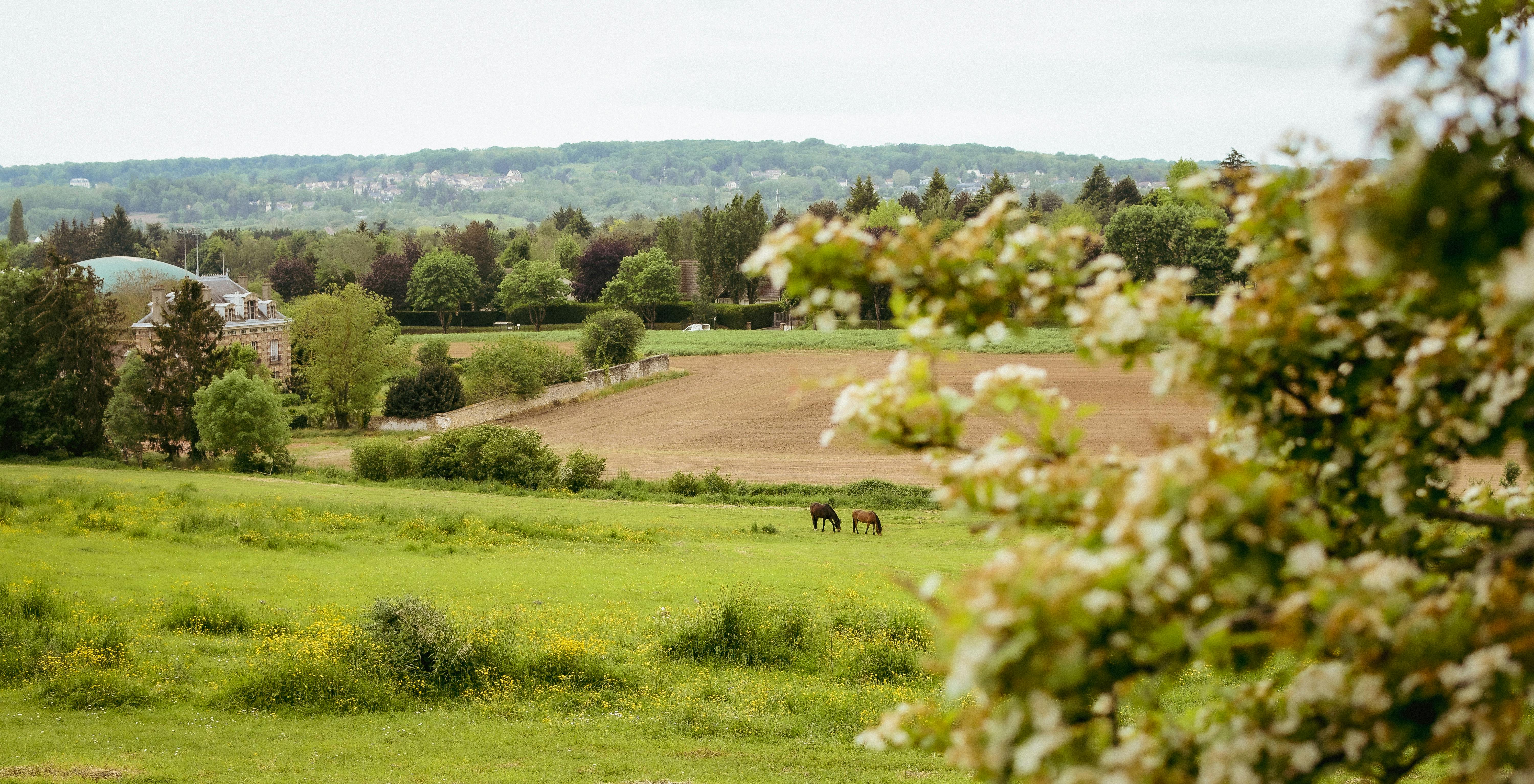 France Area Photos, Download The BEST Free France Area Stock Photos ...