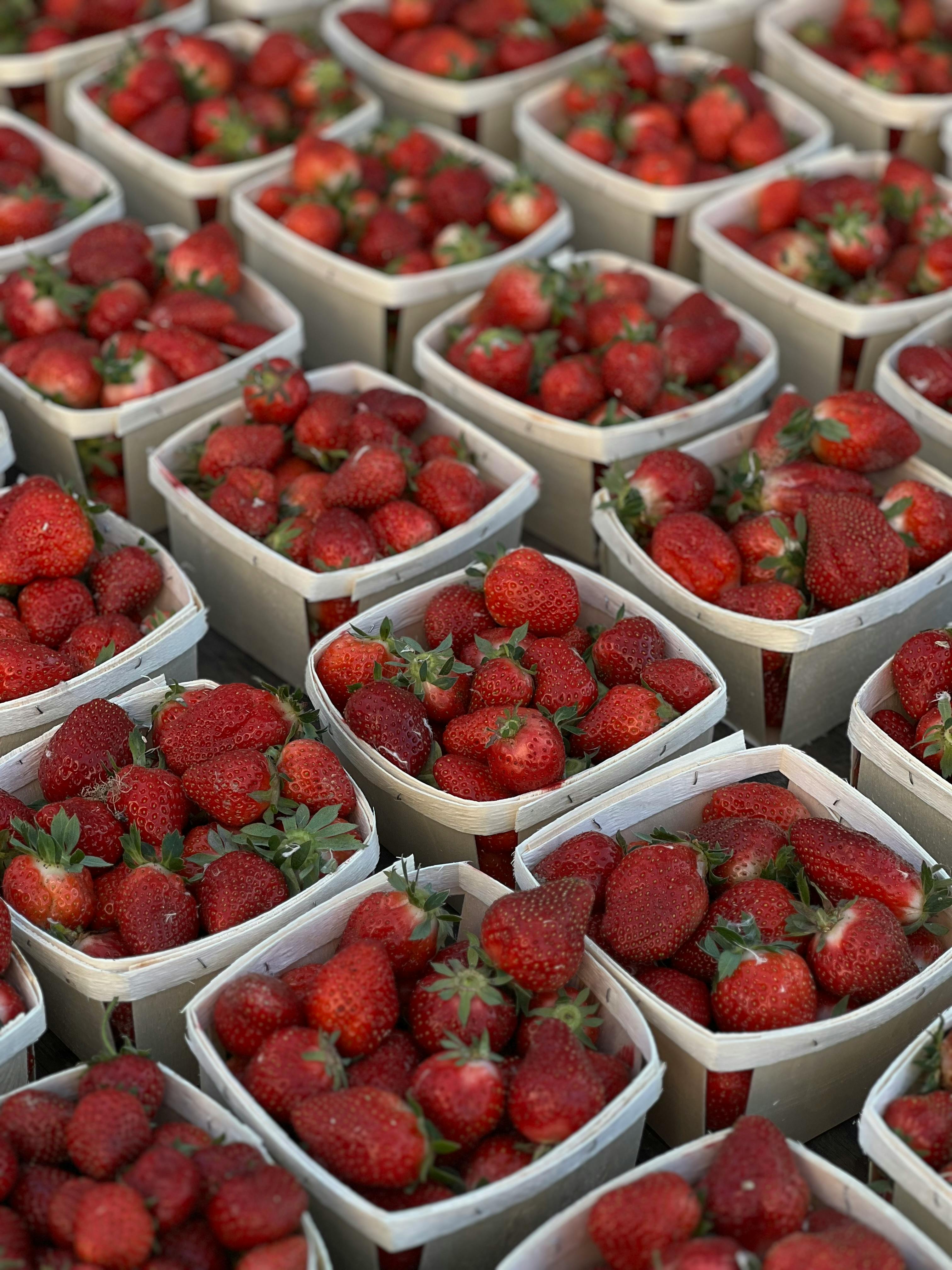 Strawberries in Boxes on a Market · Free Stock Photo
