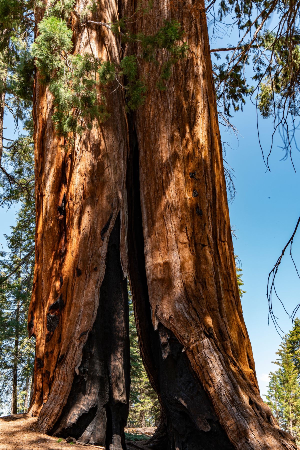 Southern California Photos, Download The BEST Free Southern California ...