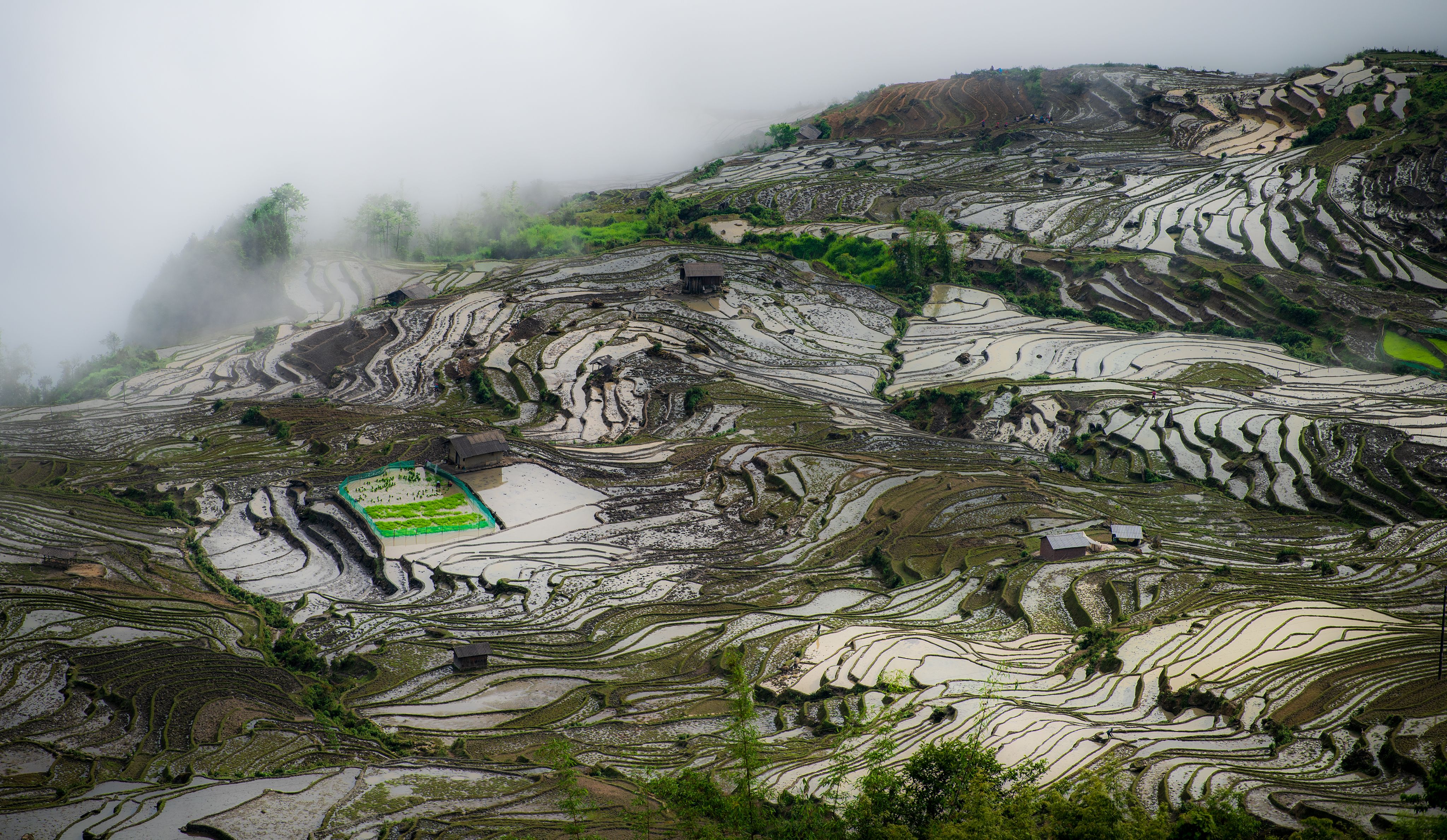 Top View of Honghe Hani Rice Terraces with Water in Yunnan in China ...