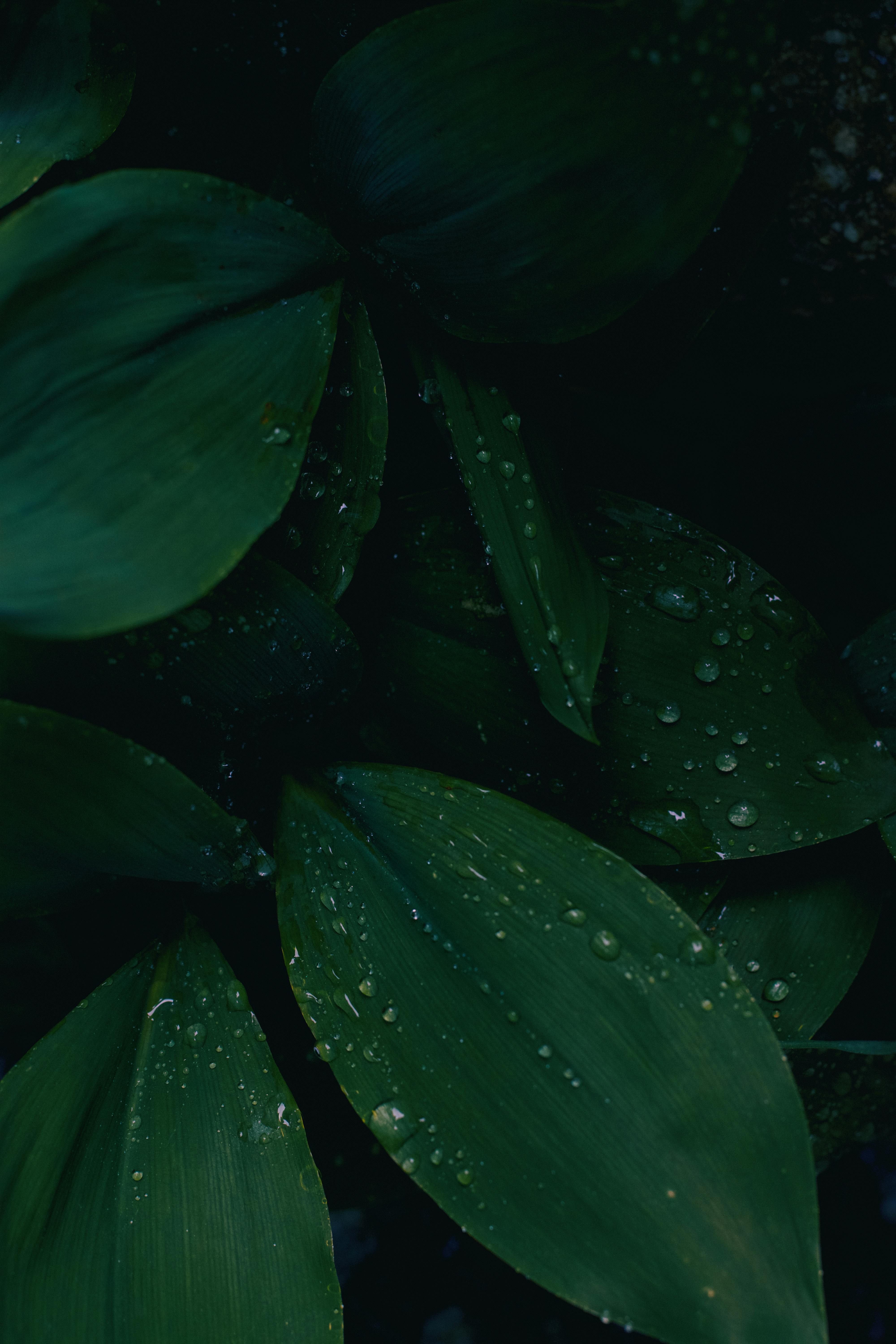 4k Raw Photos, Download The BEST Free 4k Raw Stock Photos & HD Images