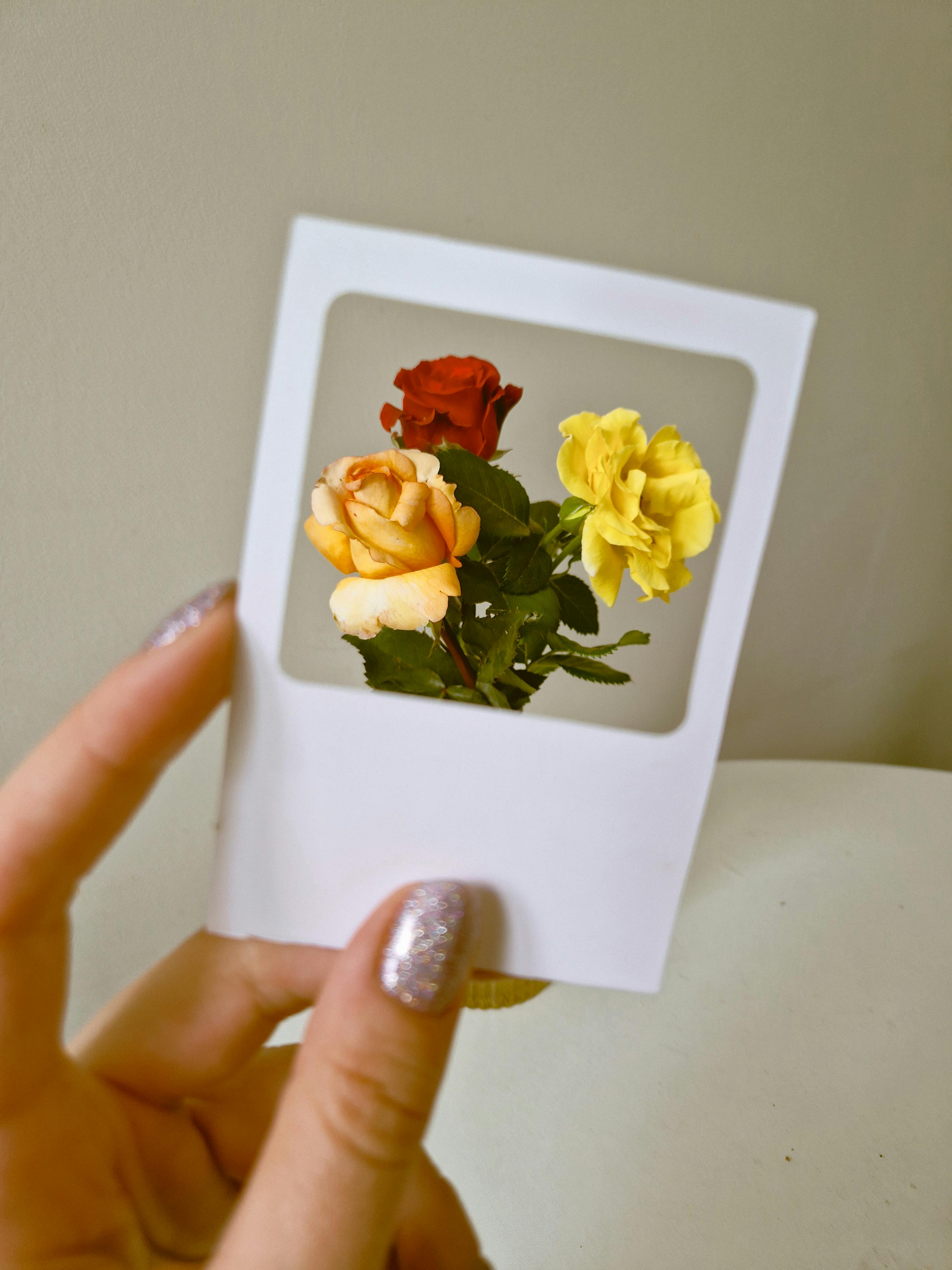 Red Roses Frame Photos, Download The BEST Free Red Roses Frame Stock ...