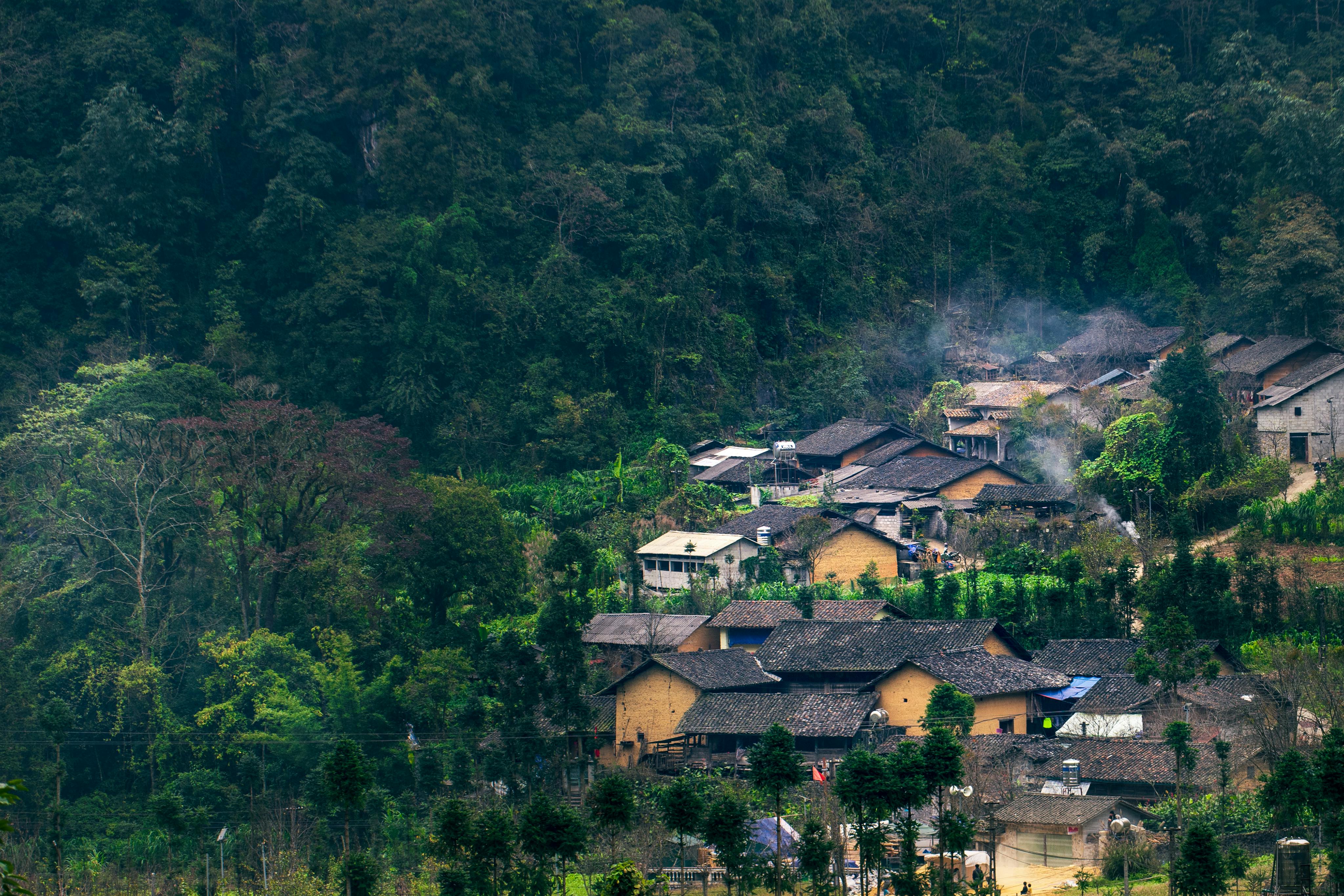 Buildings in Village in Forest · Free Stock Photo