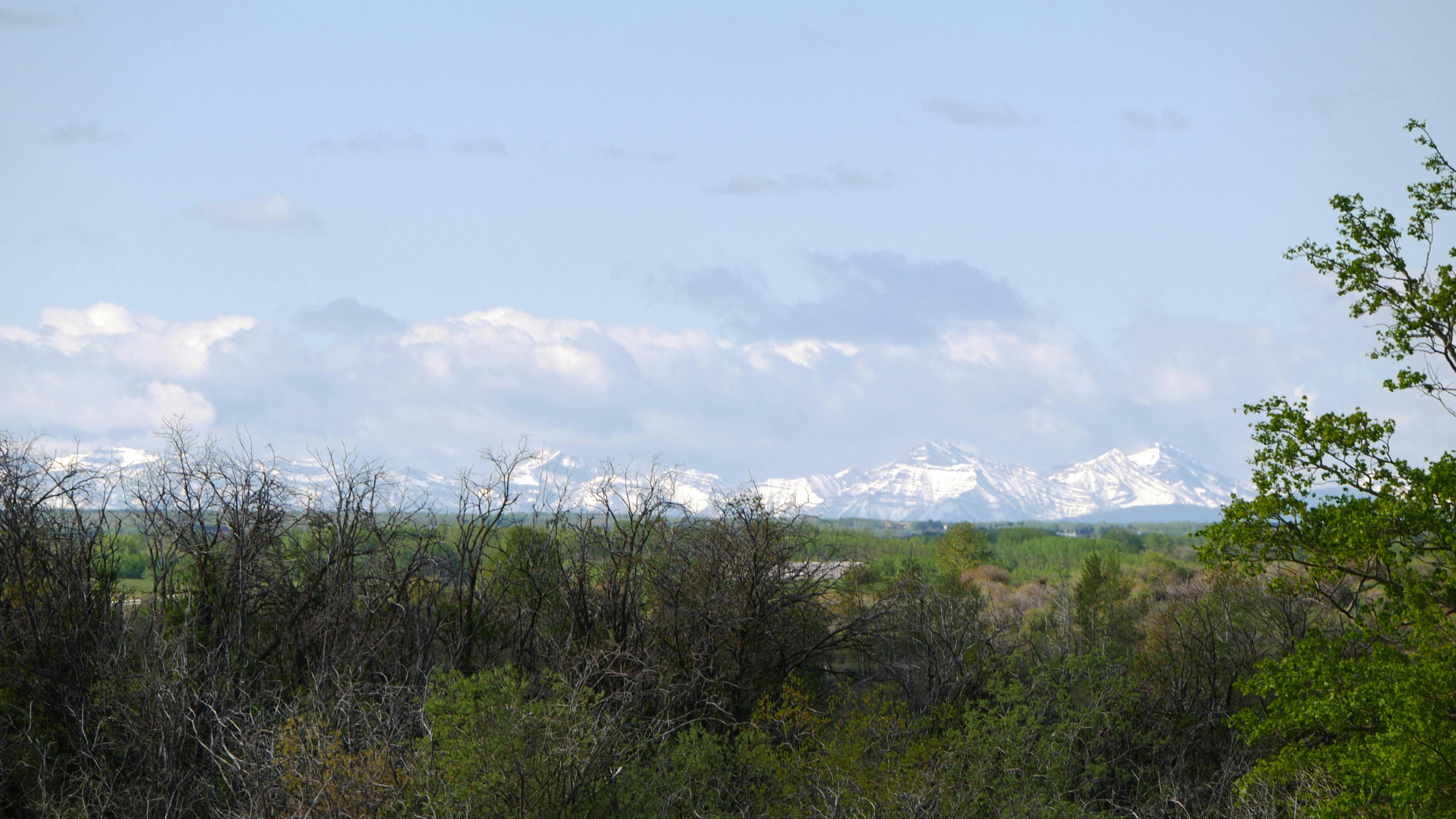 Les Miller - Photography