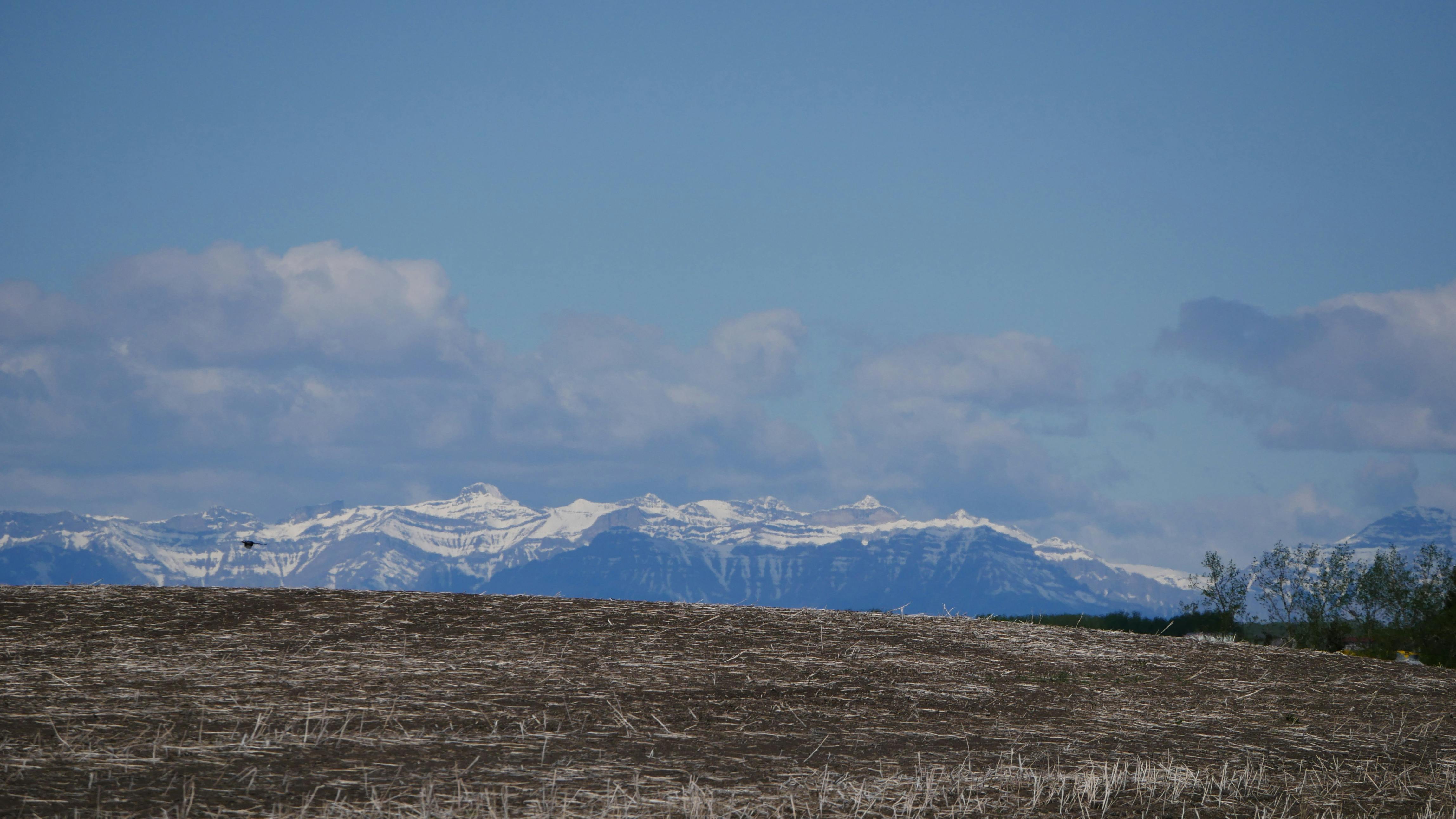 Les Miller - Photography