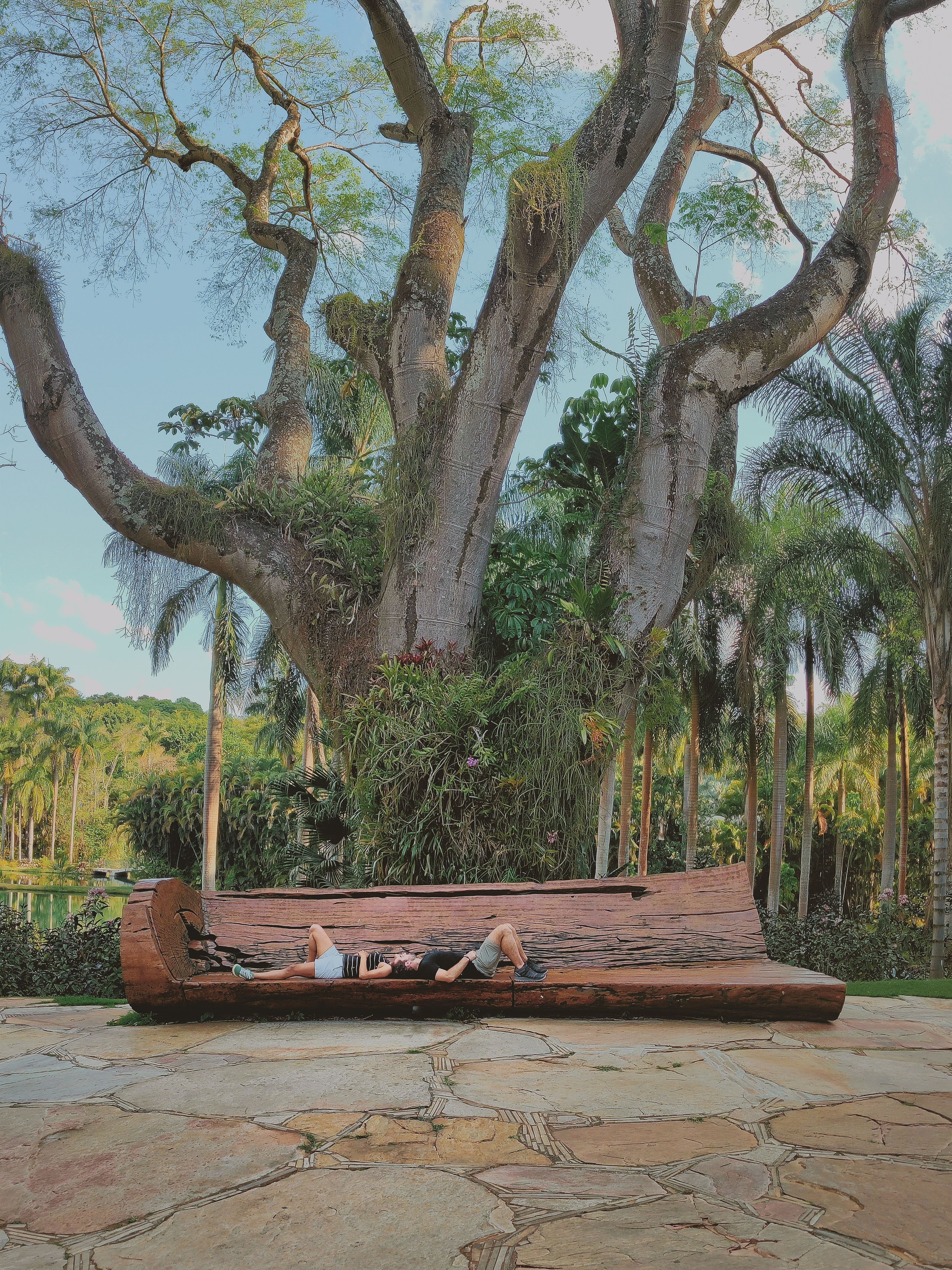 Woman and Man Lying on Bench in Inhotim Park in Brazil · Free Stock Photo