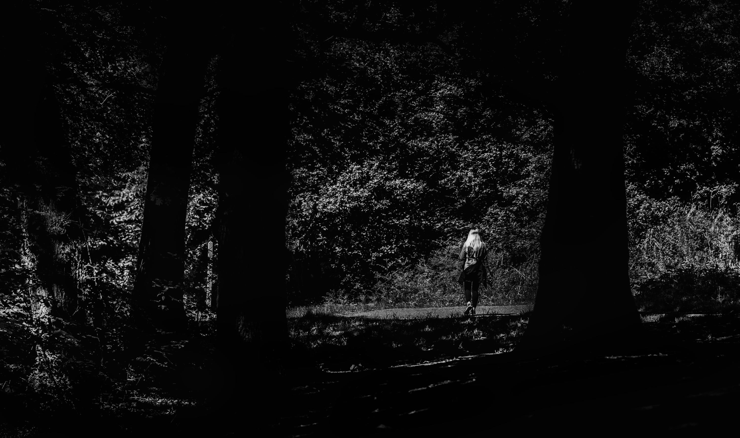 Person Near Trees · Free Stock Photo