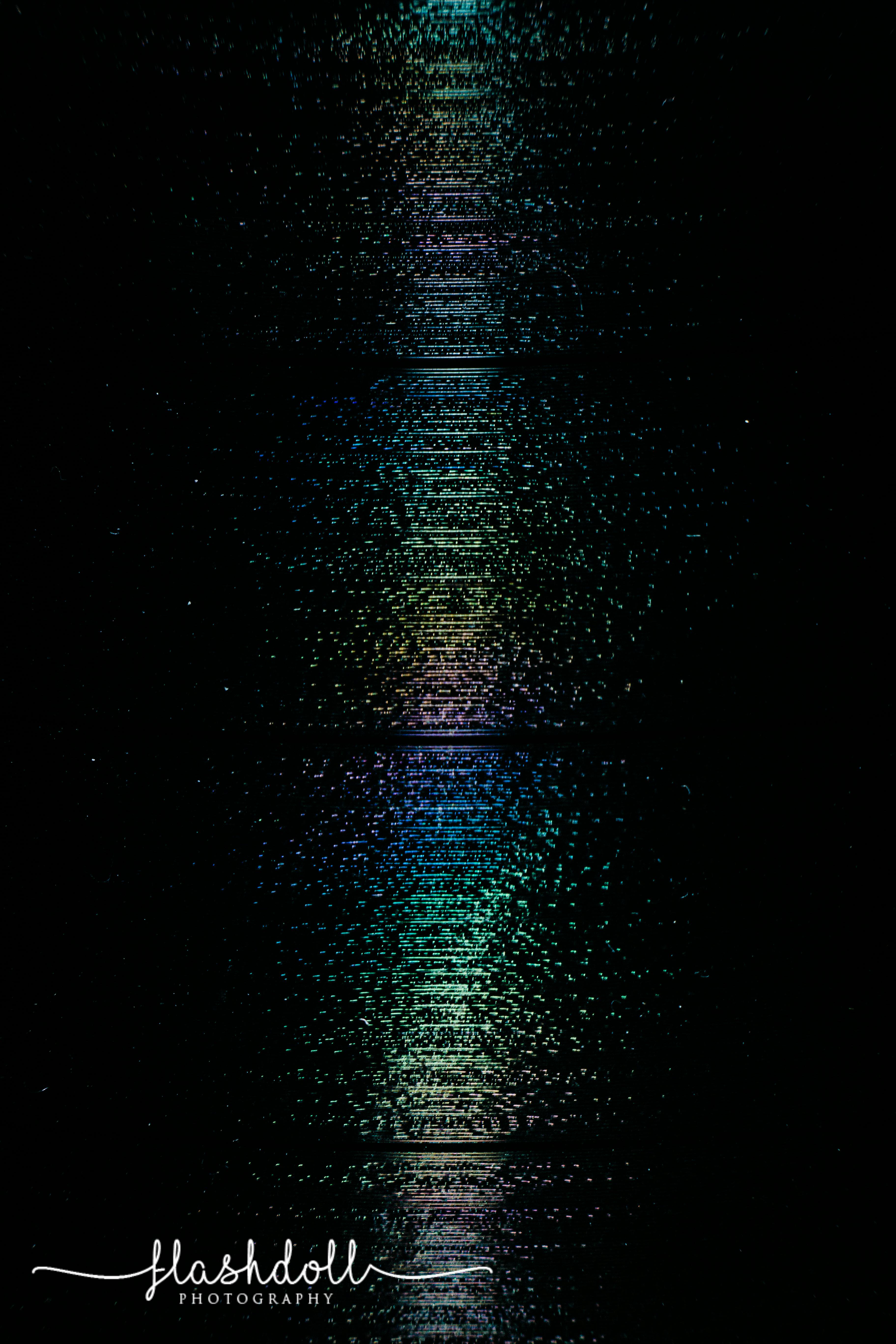 Angel Renee - Photography