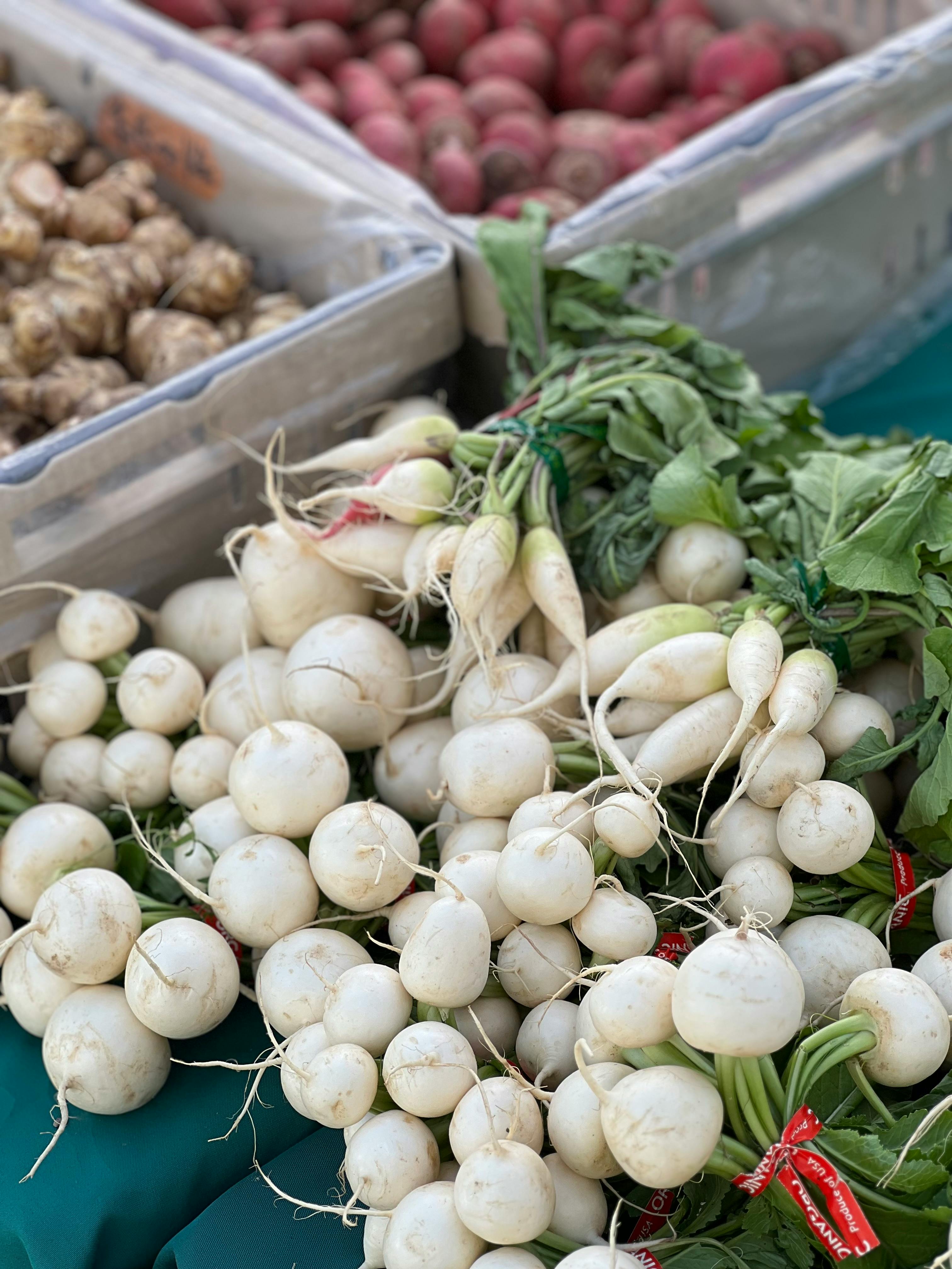 White Radish at Bazaar · Free Stock Photo