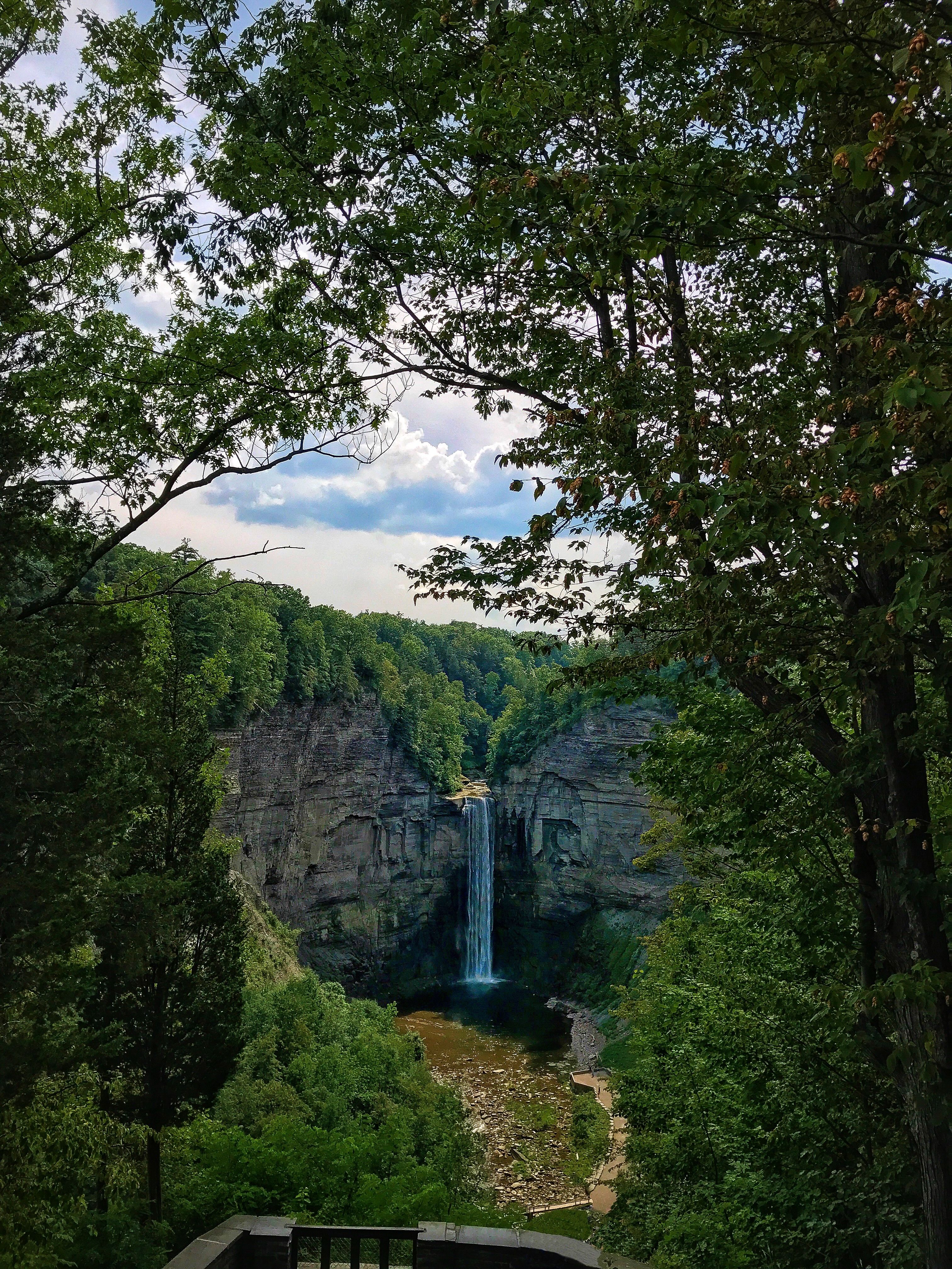 Waterfalls Near Trees · Free Stock Photo