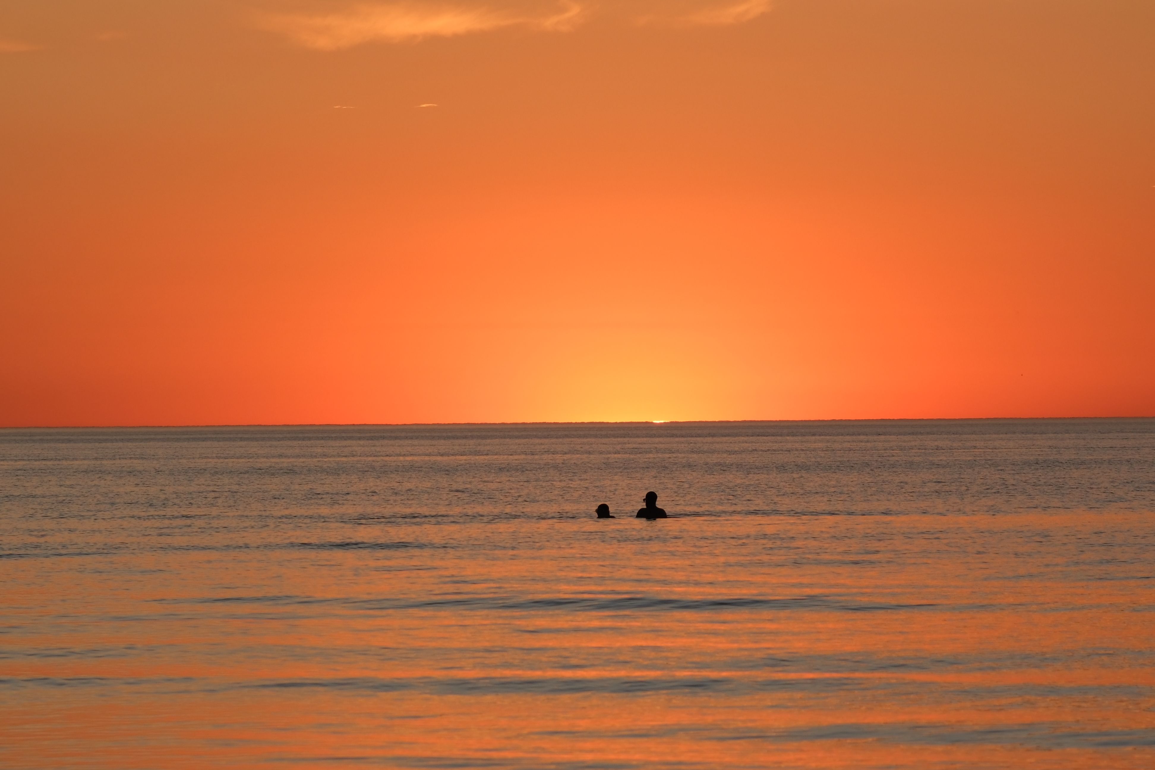 People Swimming in Sea at Sunset · Free Stock Photo