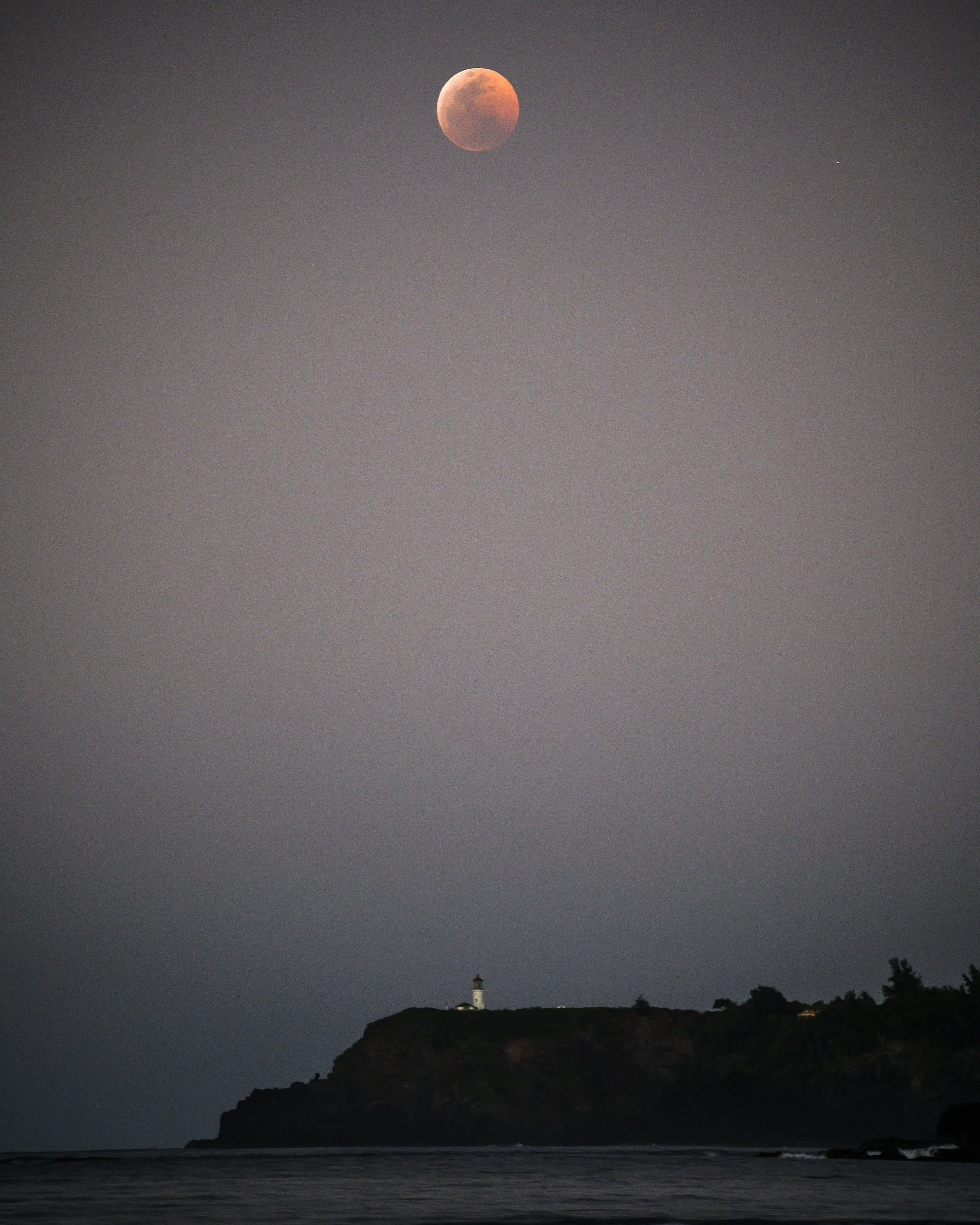 Blood Tide Photos, Download The BEST Free Blood Tide Stock Photos & HD ...