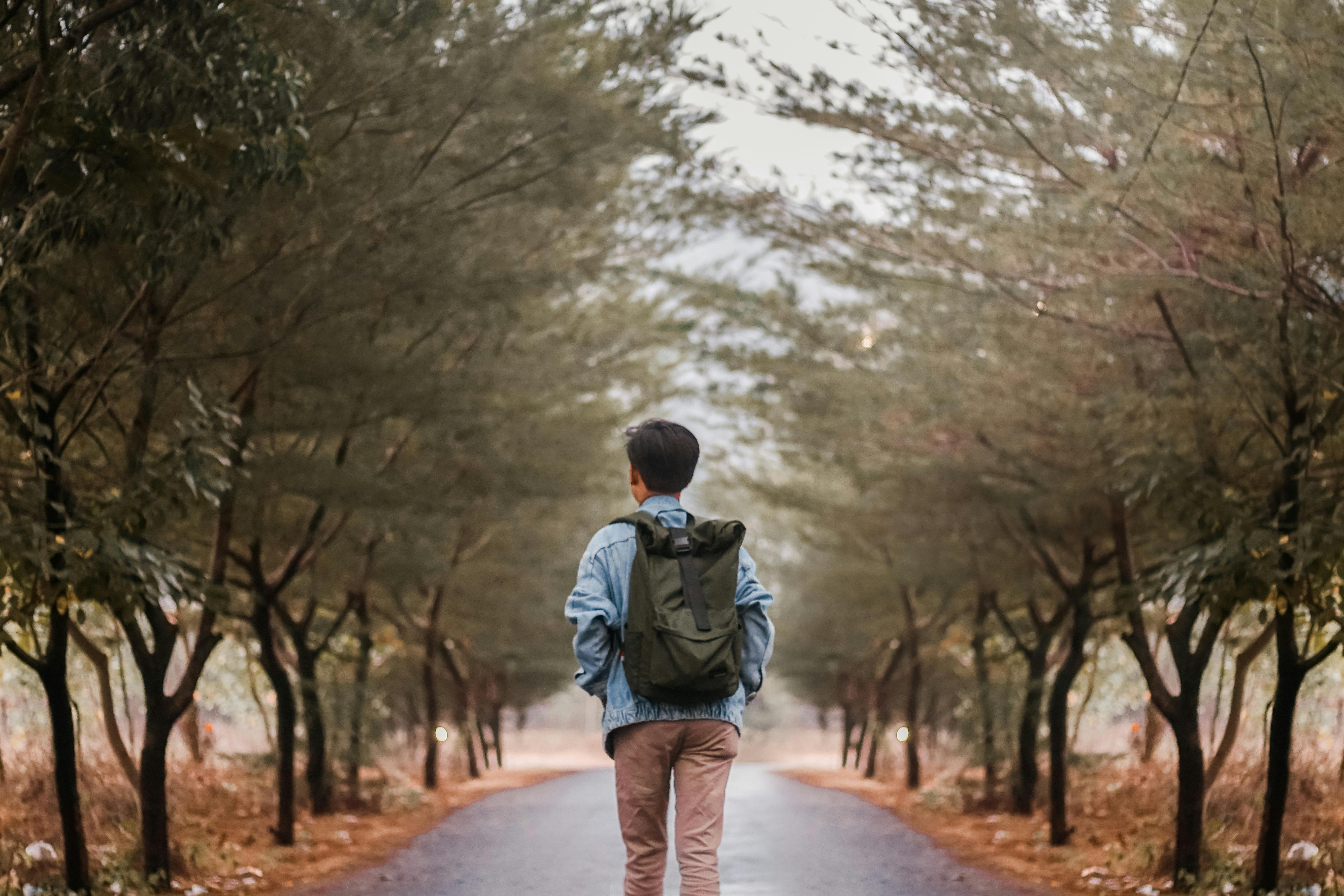 Photo of Man Walking on Road Near Trees · Free Stock Photo