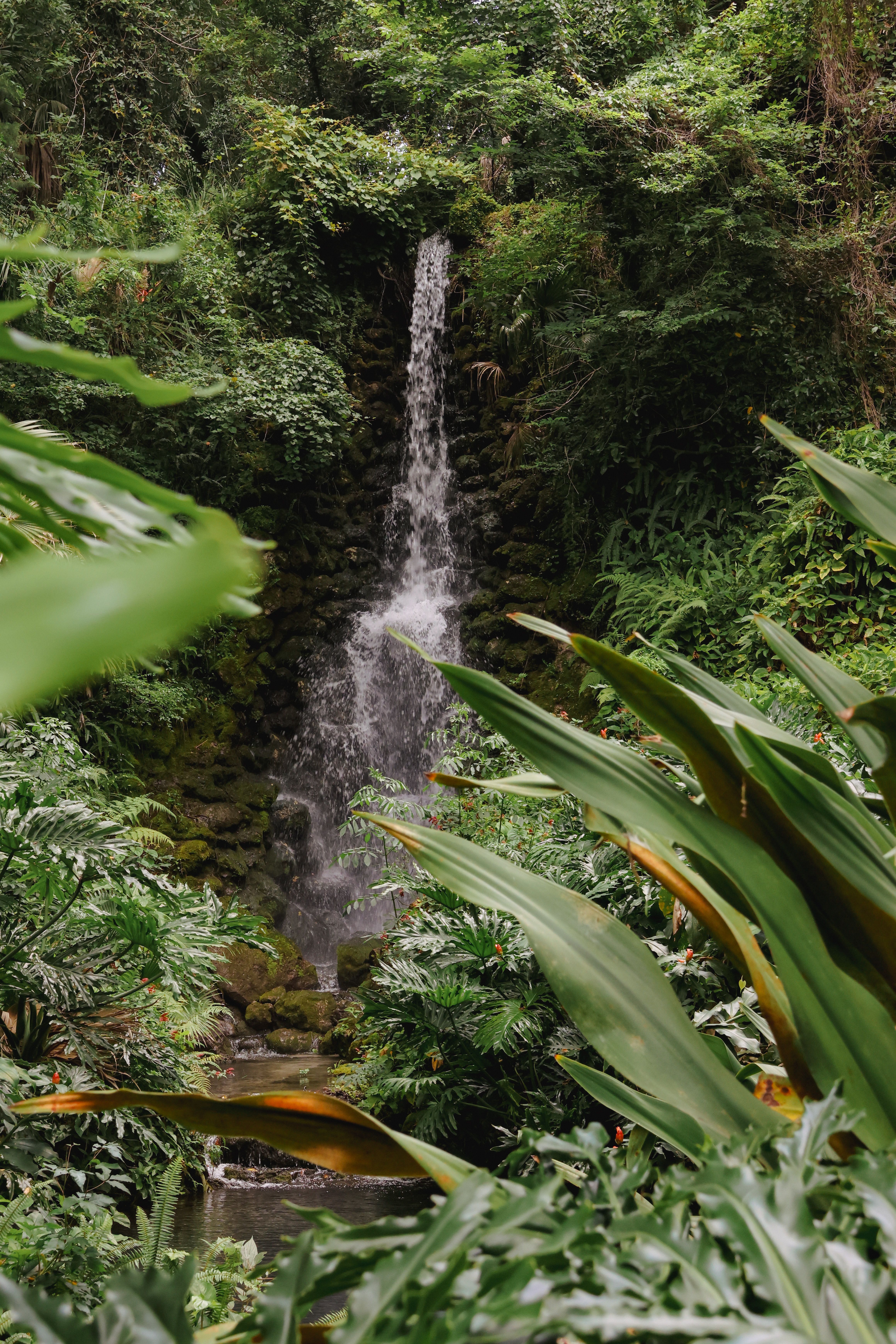 A Small Waterfall · Free Stock Photo