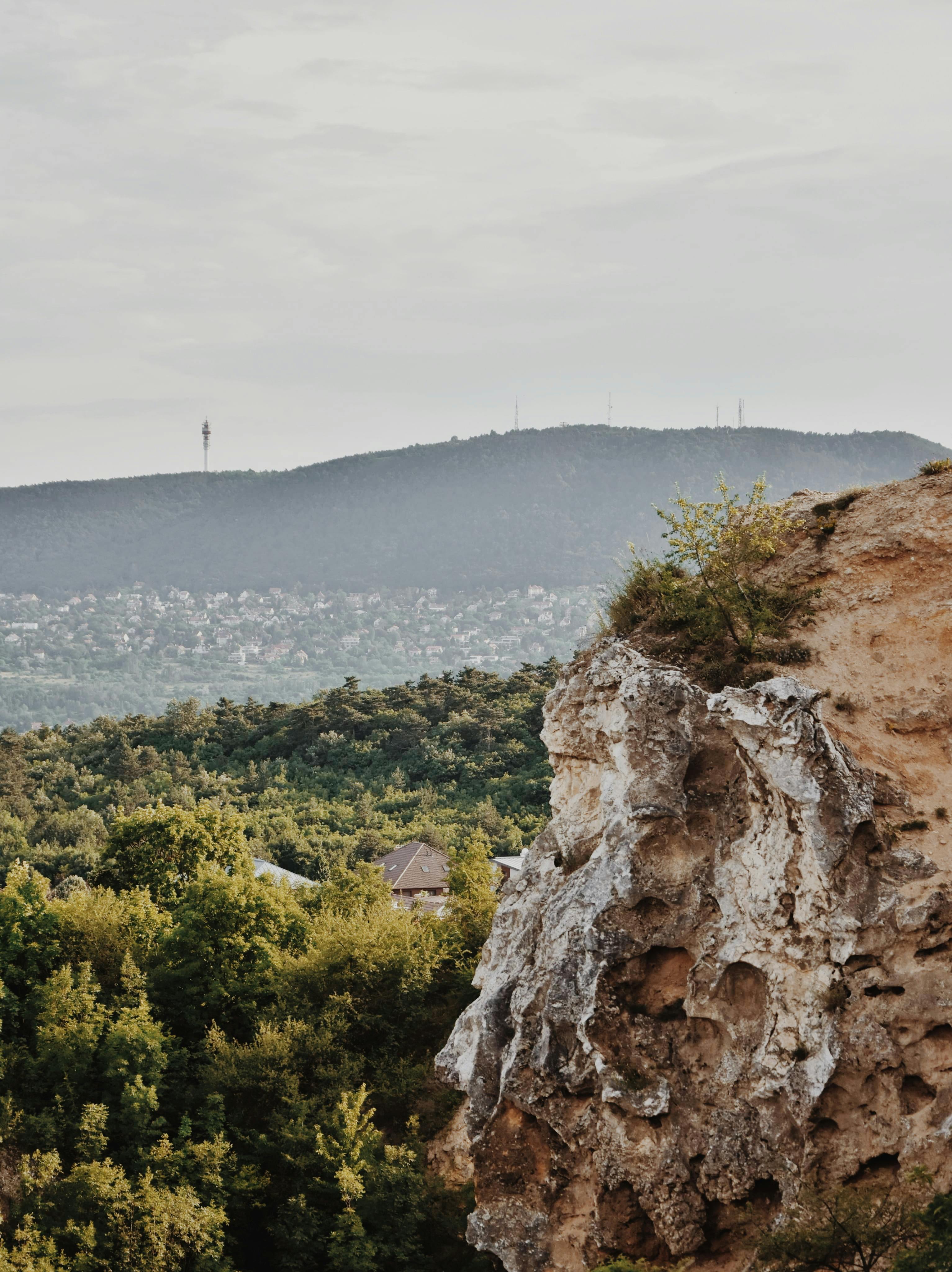 Photo of Cliff Overlooking Forest · Free Stock Photo