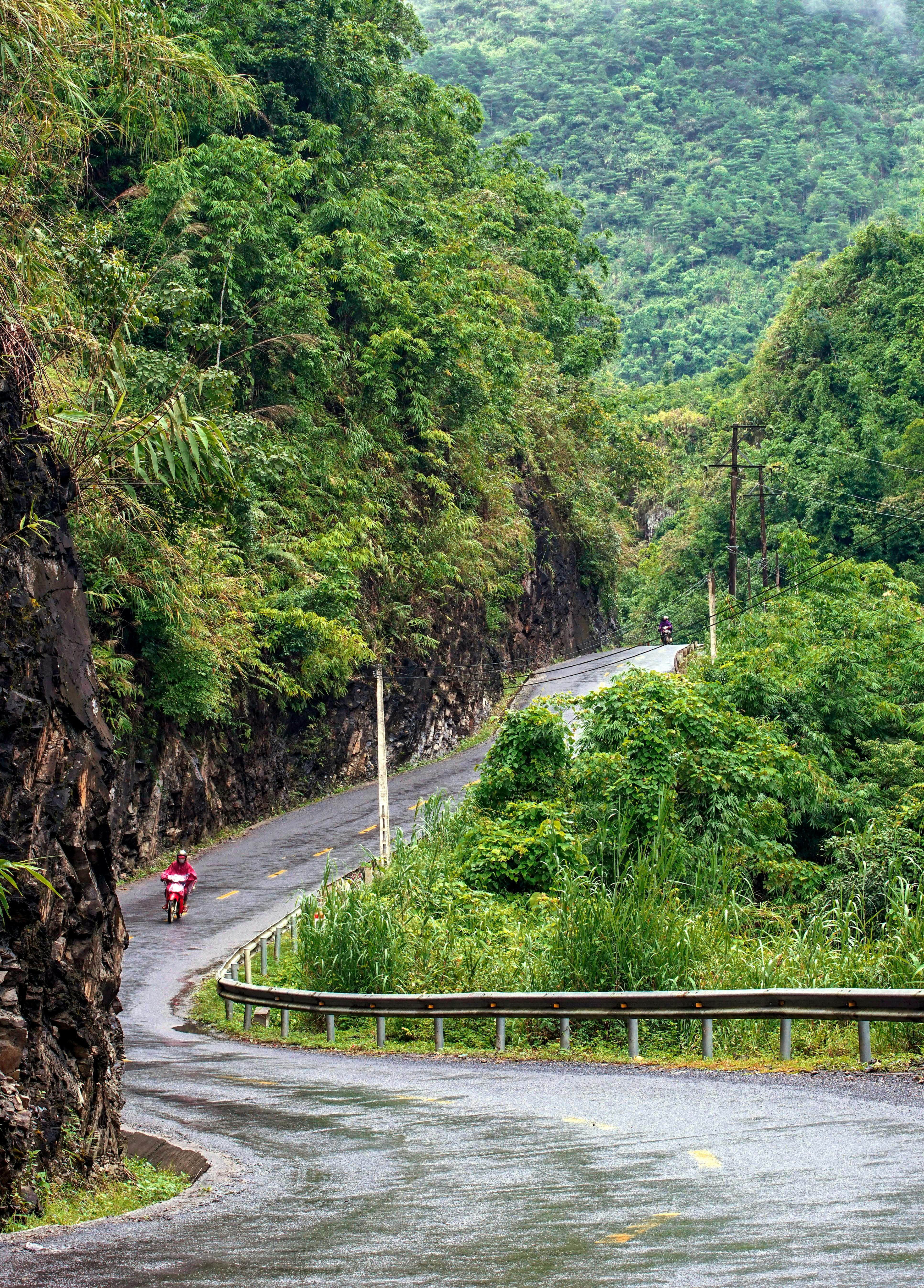 Road on Cliff in Rainforest · Free Stock Photo