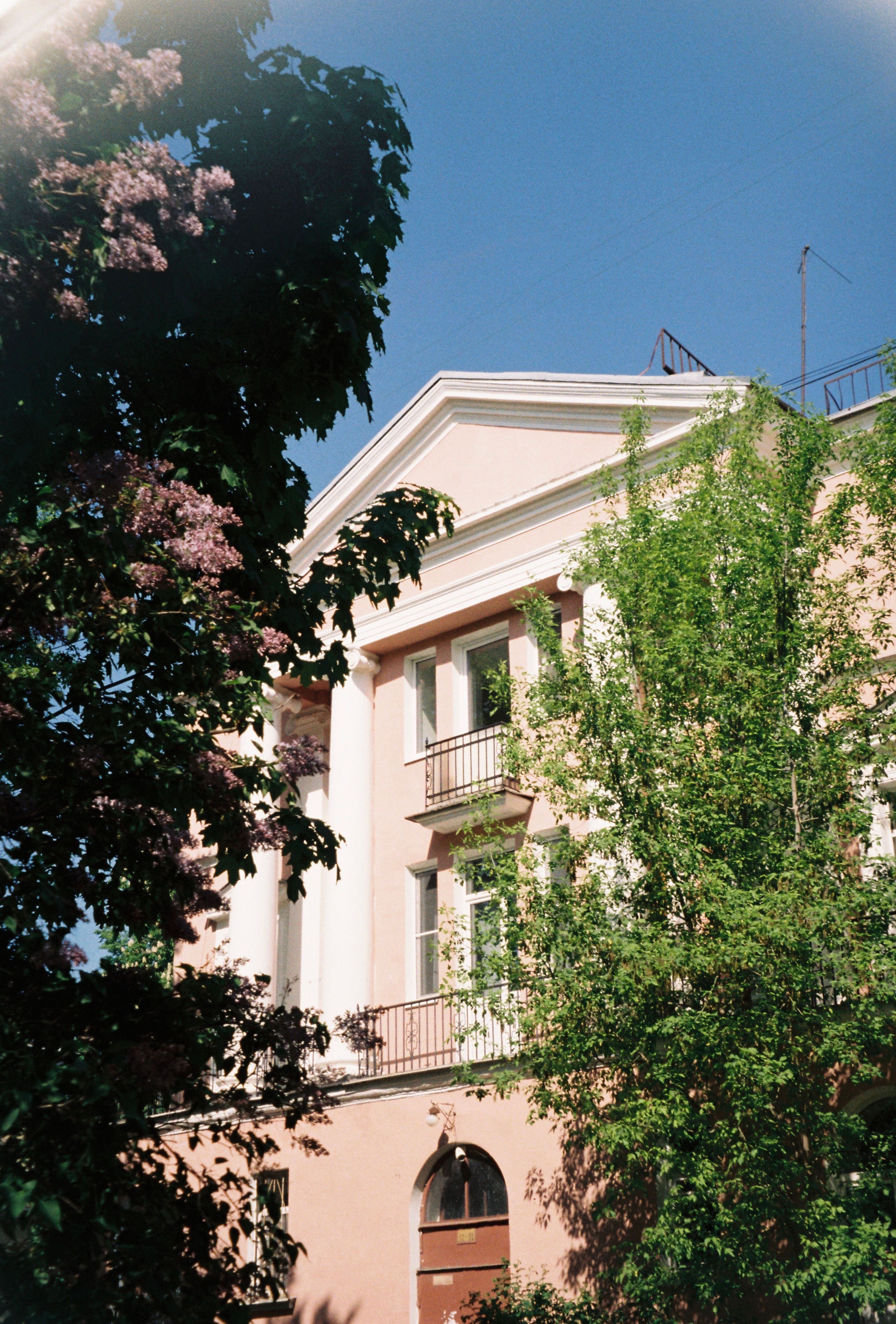 Building behind Trees · Free Stock Photo