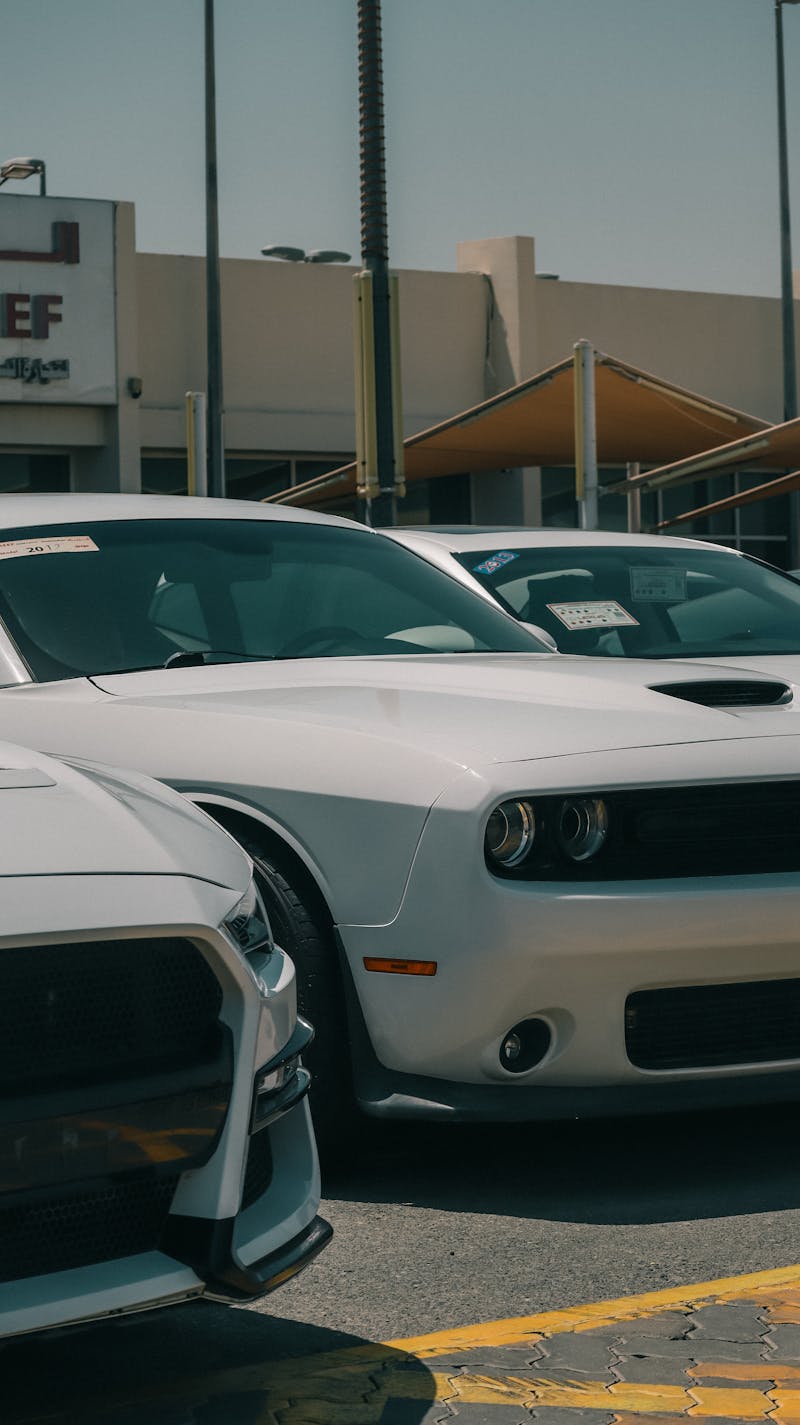 Dodge Challenger Photos, Download The BEST Free Dodge Challenger Stock ...