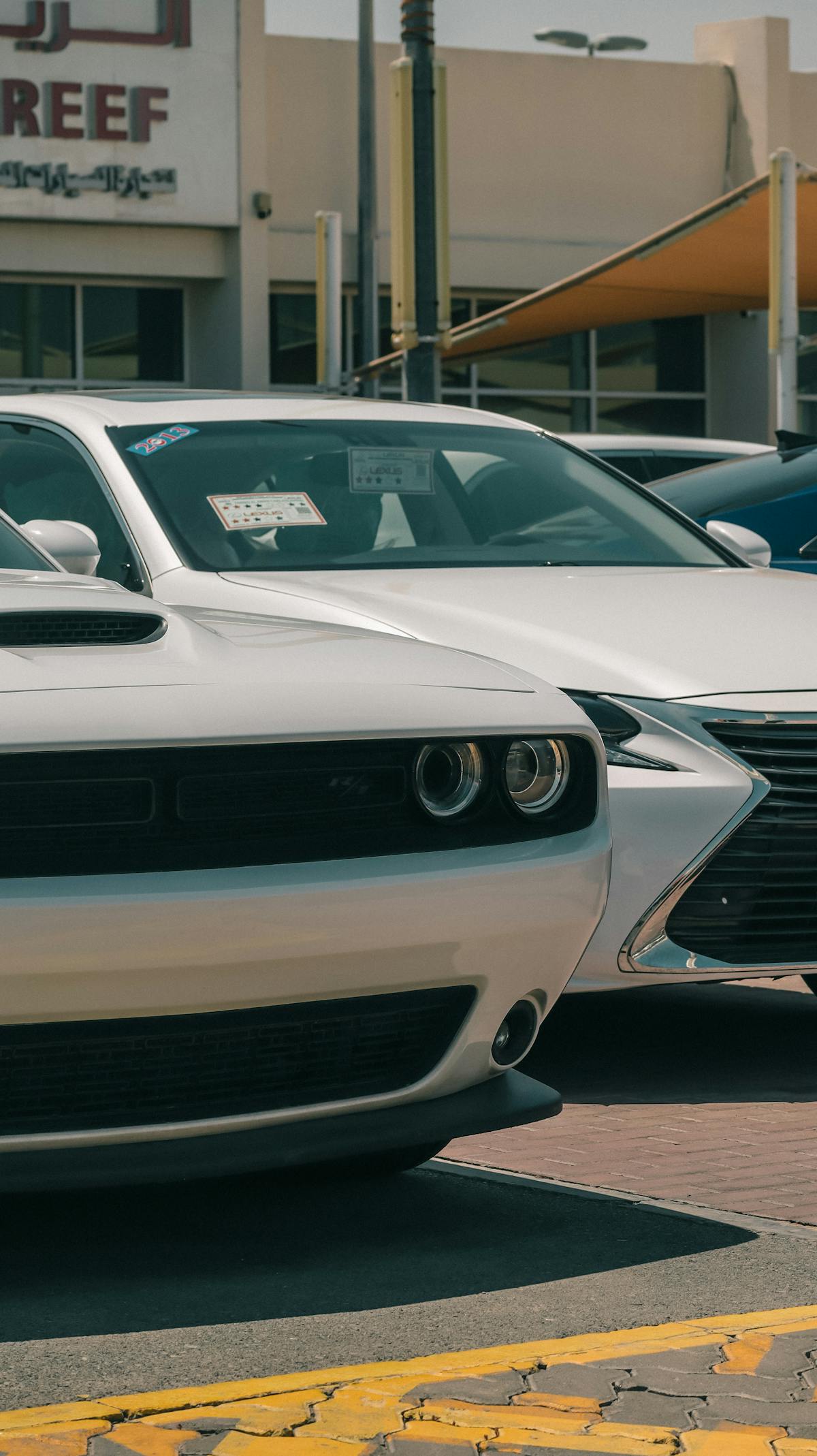 Dodge Challenger Photos, Download The BEST Free Dodge Challenger Stock ...