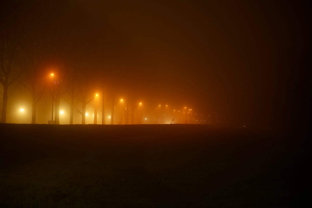 Foggy Path Photos, Download The BEST Free Foggy Path Stock Photos & HD ...