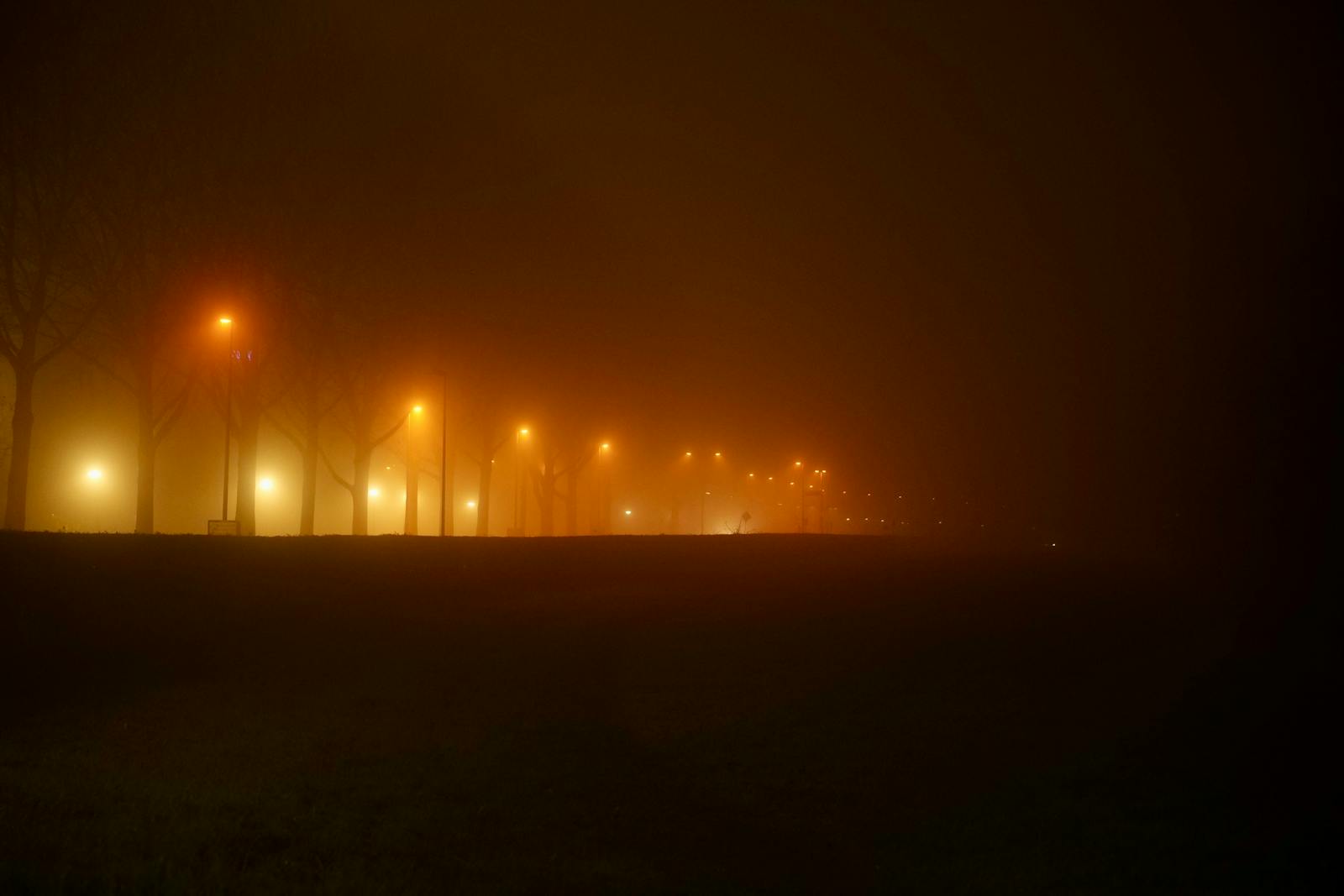 Foggy Path Photos, Download The BEST Free Foggy Path Stock Photos & HD ...