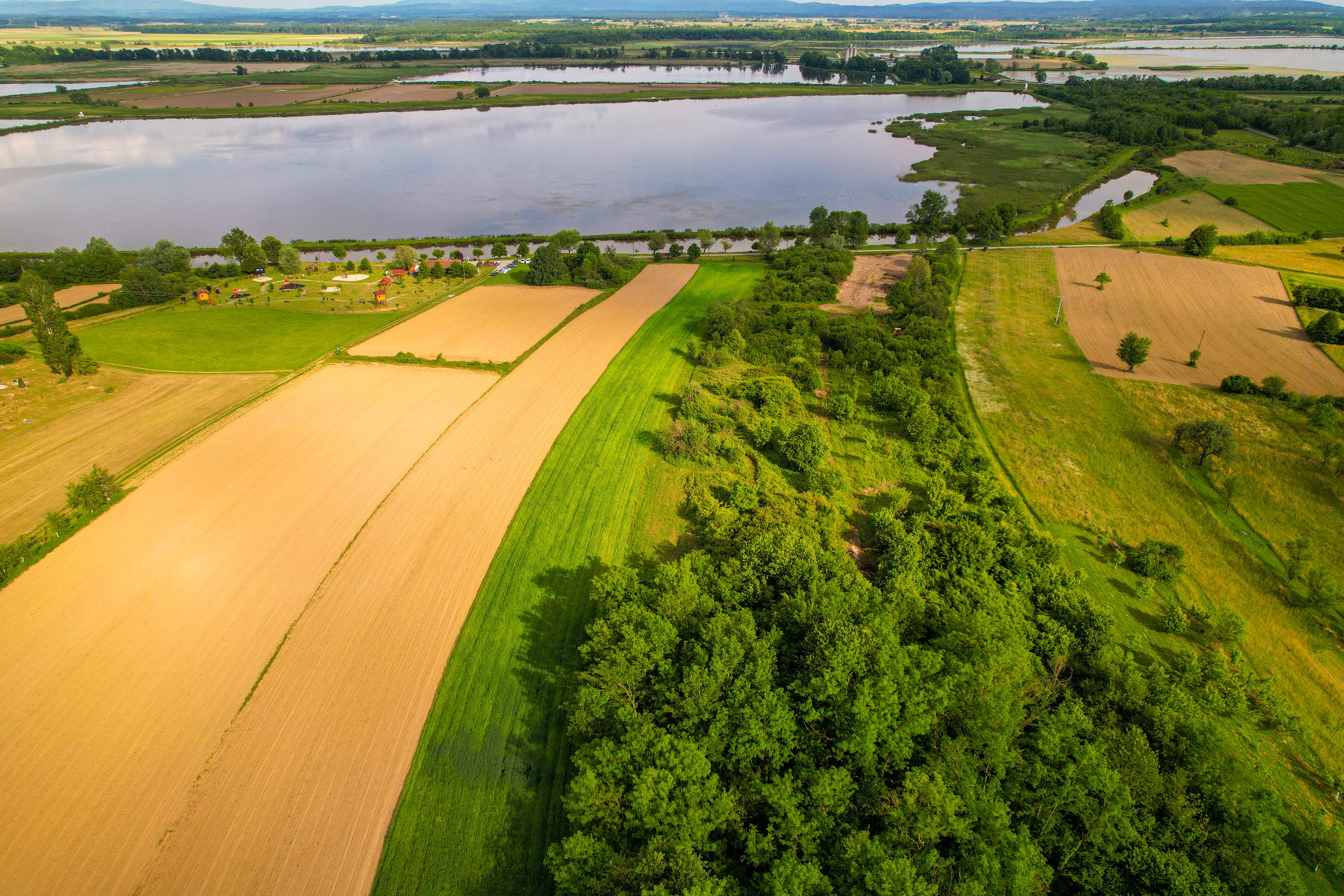 Birds Eye View of Field and Trees in Countryside · Free Stock Photo